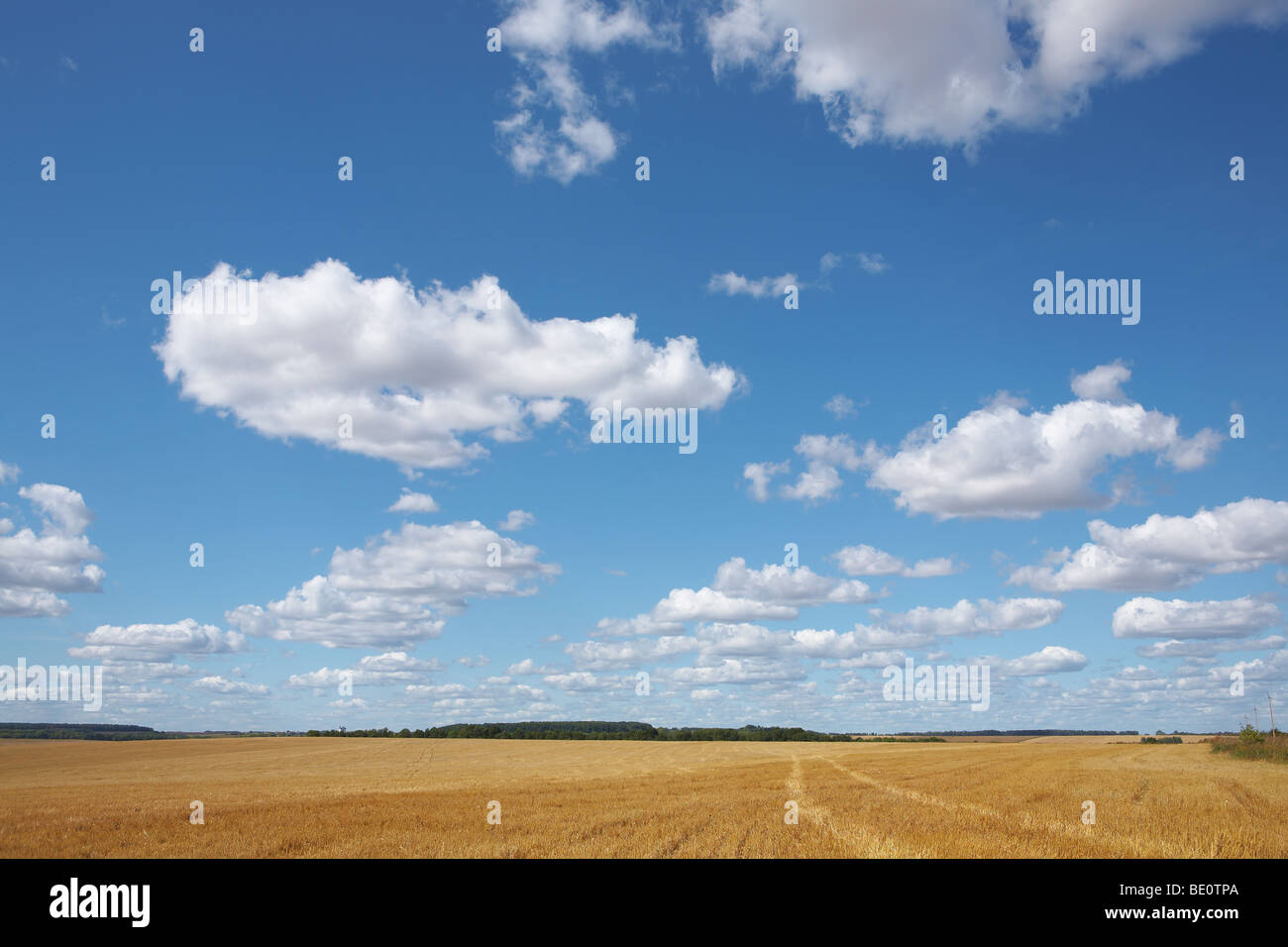 Flying over golden wheat field hi-res stock photography and images - Alamy