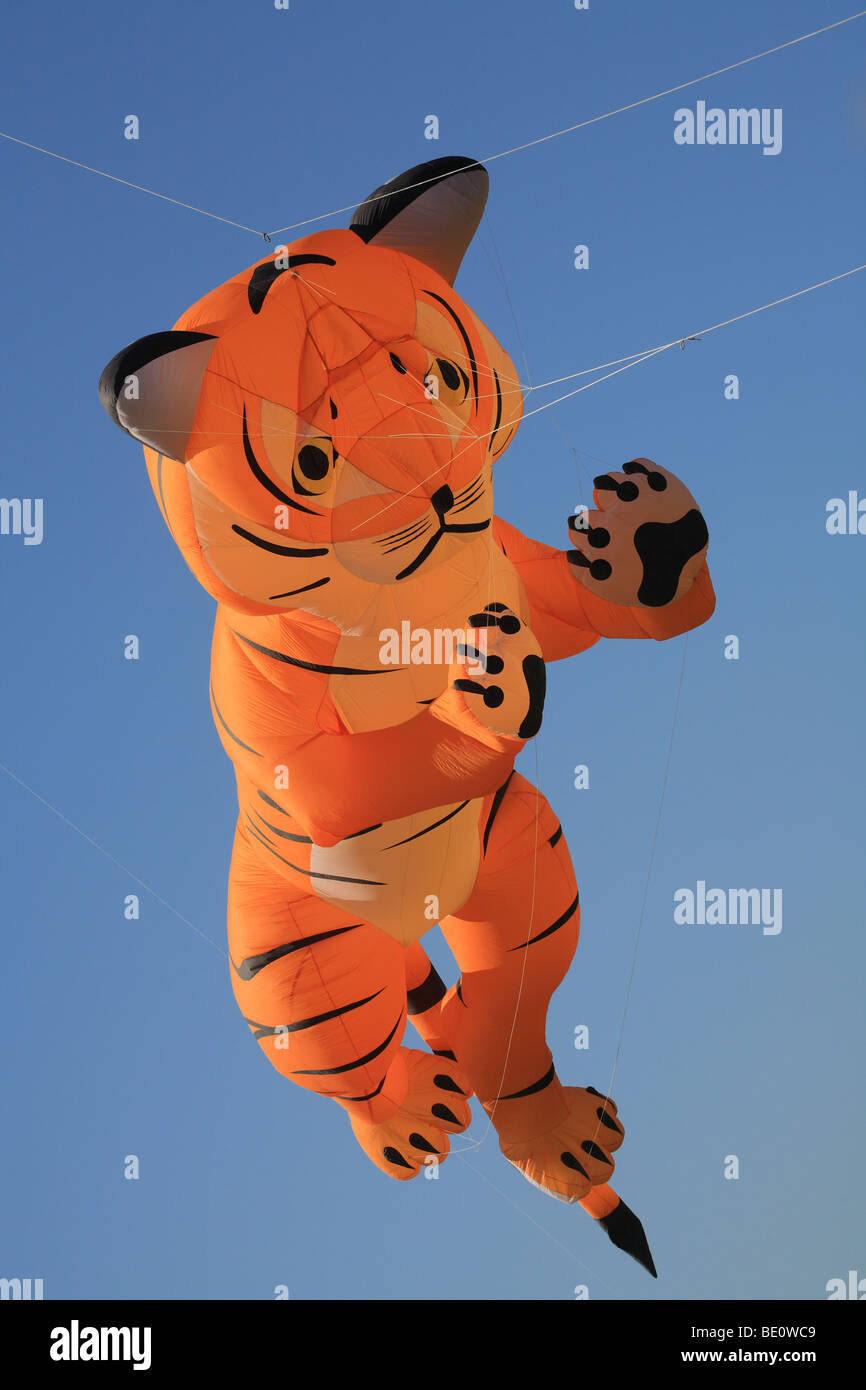 Tiger kite hi-res stock photography and images - Alamy