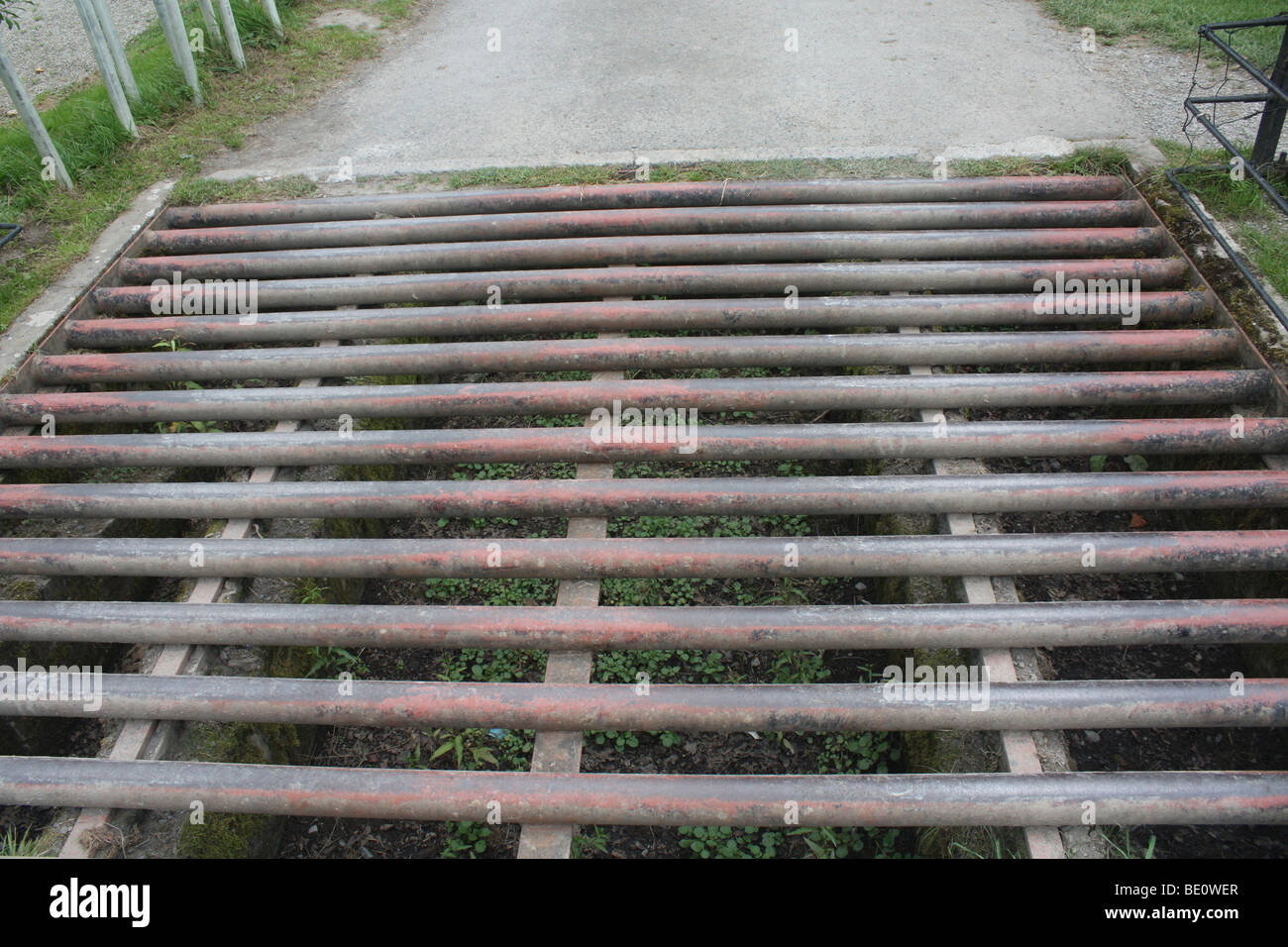 Cattle stop hi-res stock photography and images - Alamy