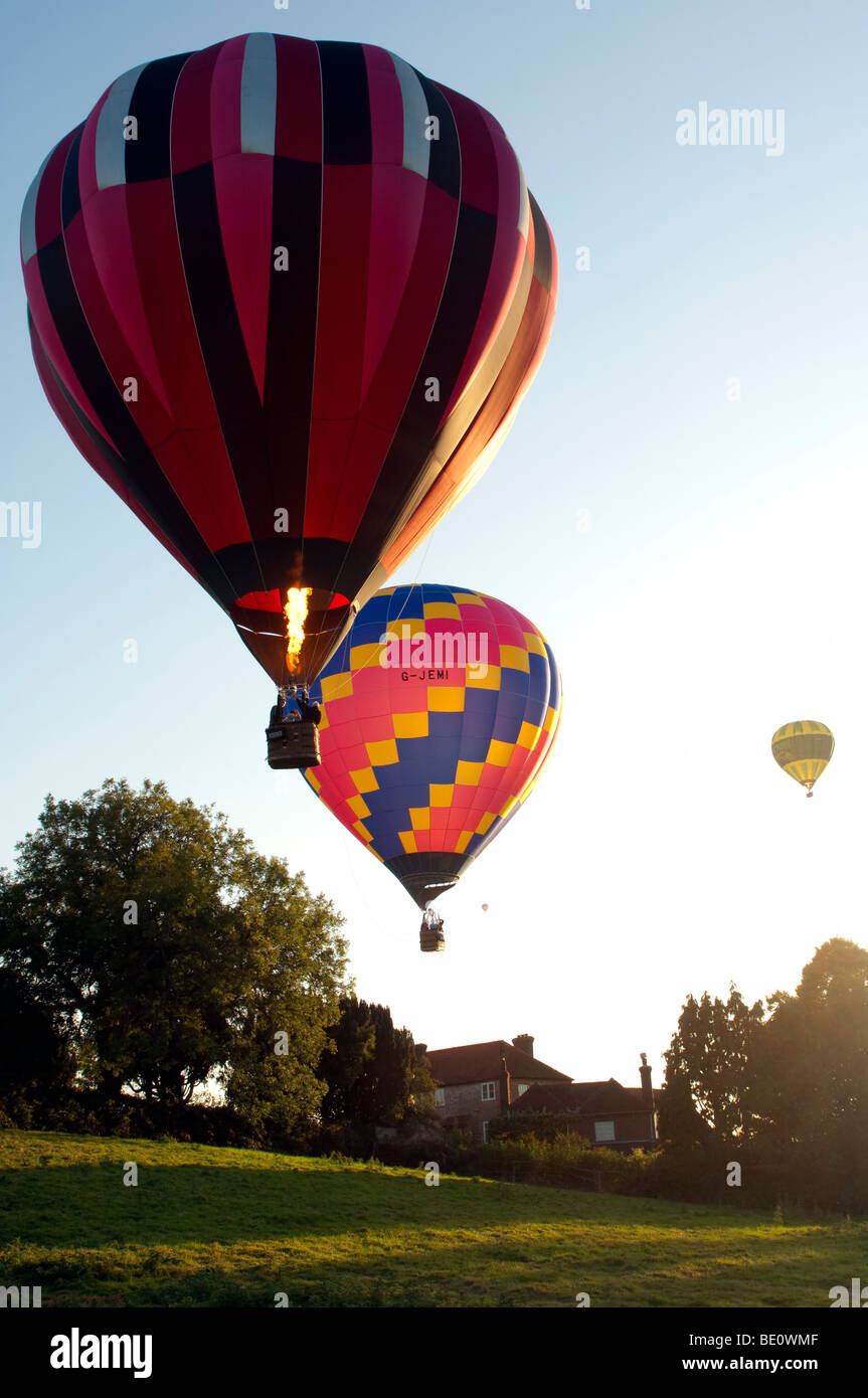 Hot air balloons at Wisborough Green Charity Hot Air Balloon festival ...