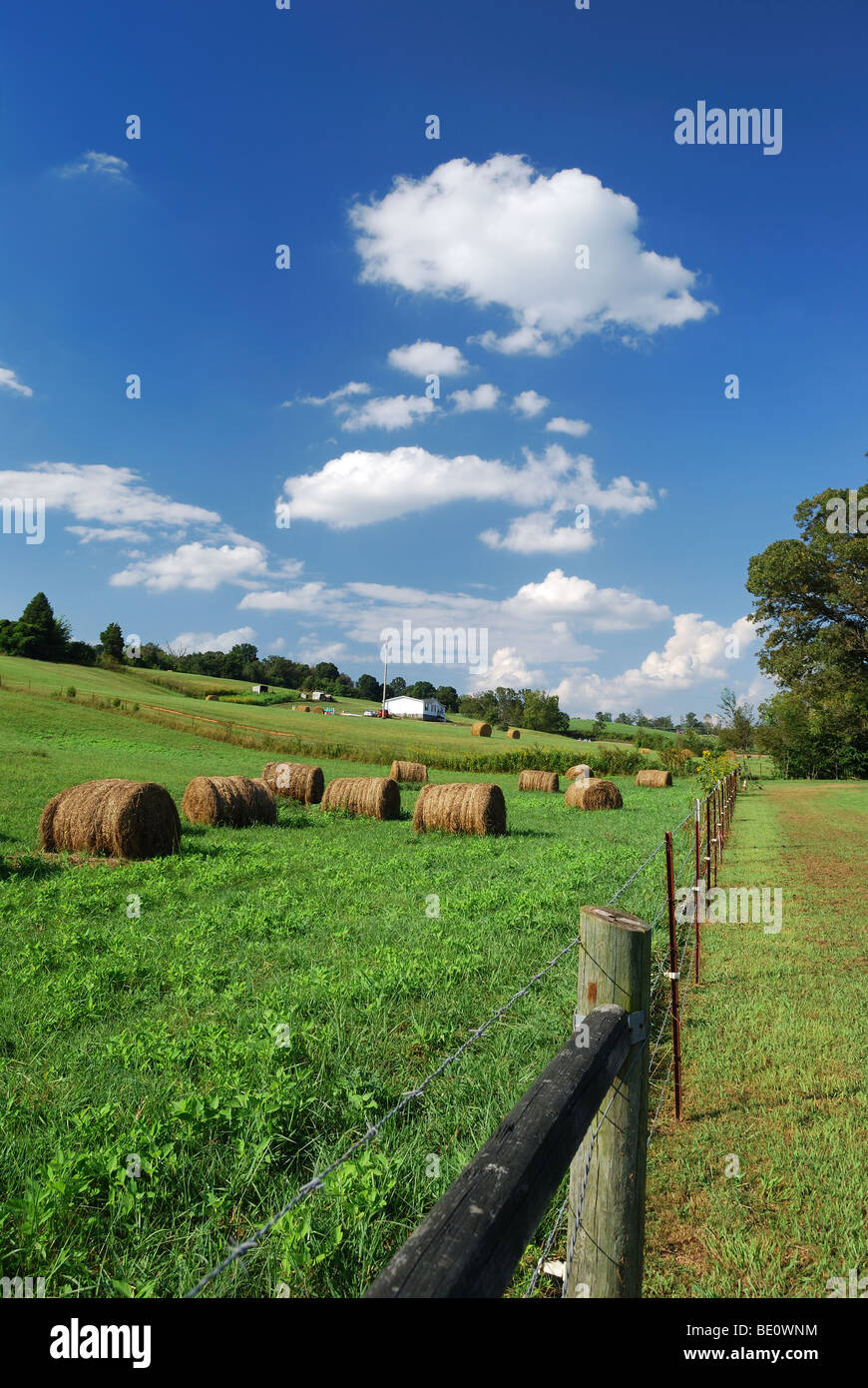 Idyllic American summer farm scene with hay bales and a fence row in ...