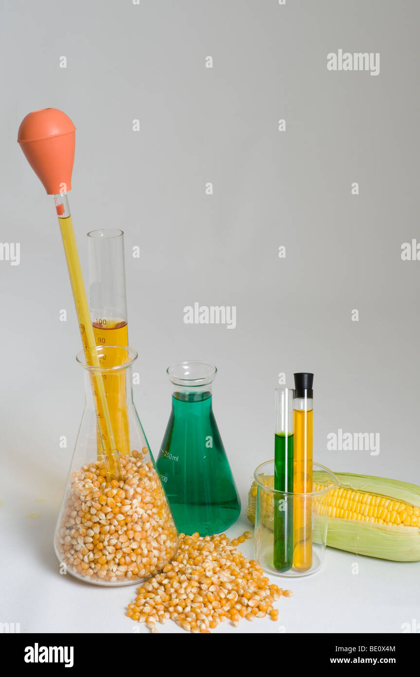 Bio fuel concept with corn and chemicals Stock Photo - Alamy