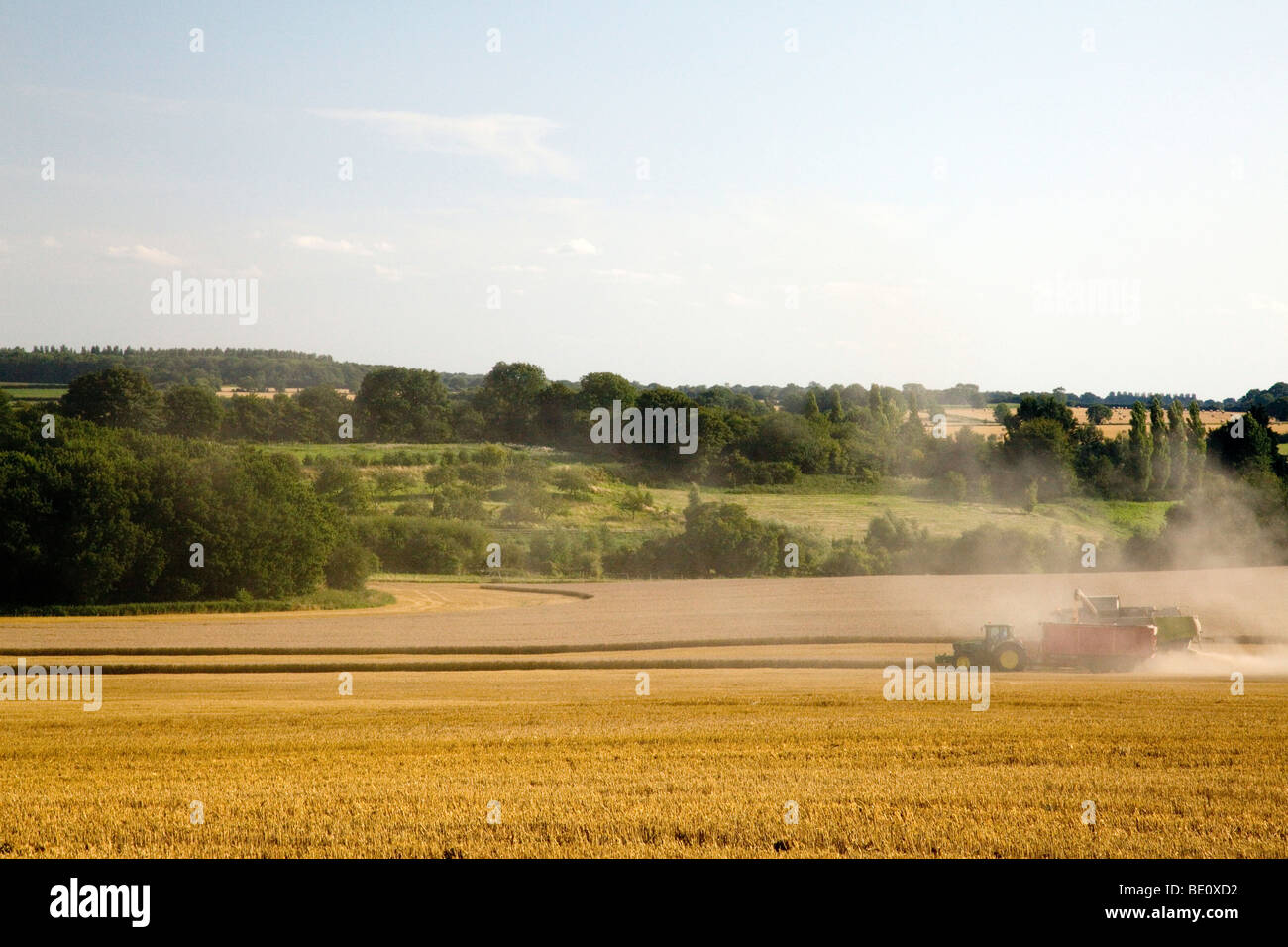 Harvesting wheat in Norfolk, UK Stock Photo - Alamy