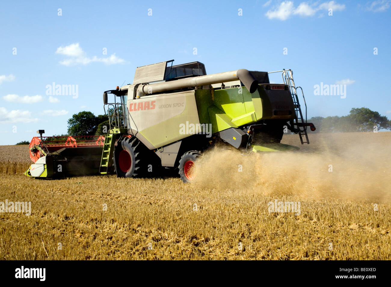 Harvesting wheat in Norfolk, UK Stock Photo - Alamy