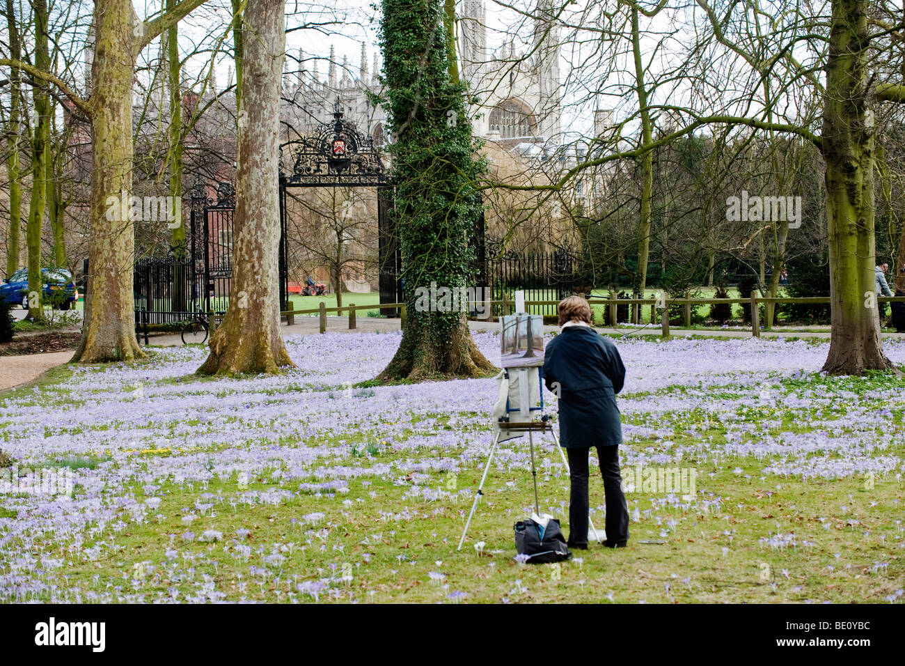 Naturalized bulbs hi-res stock photography and images - Alamy