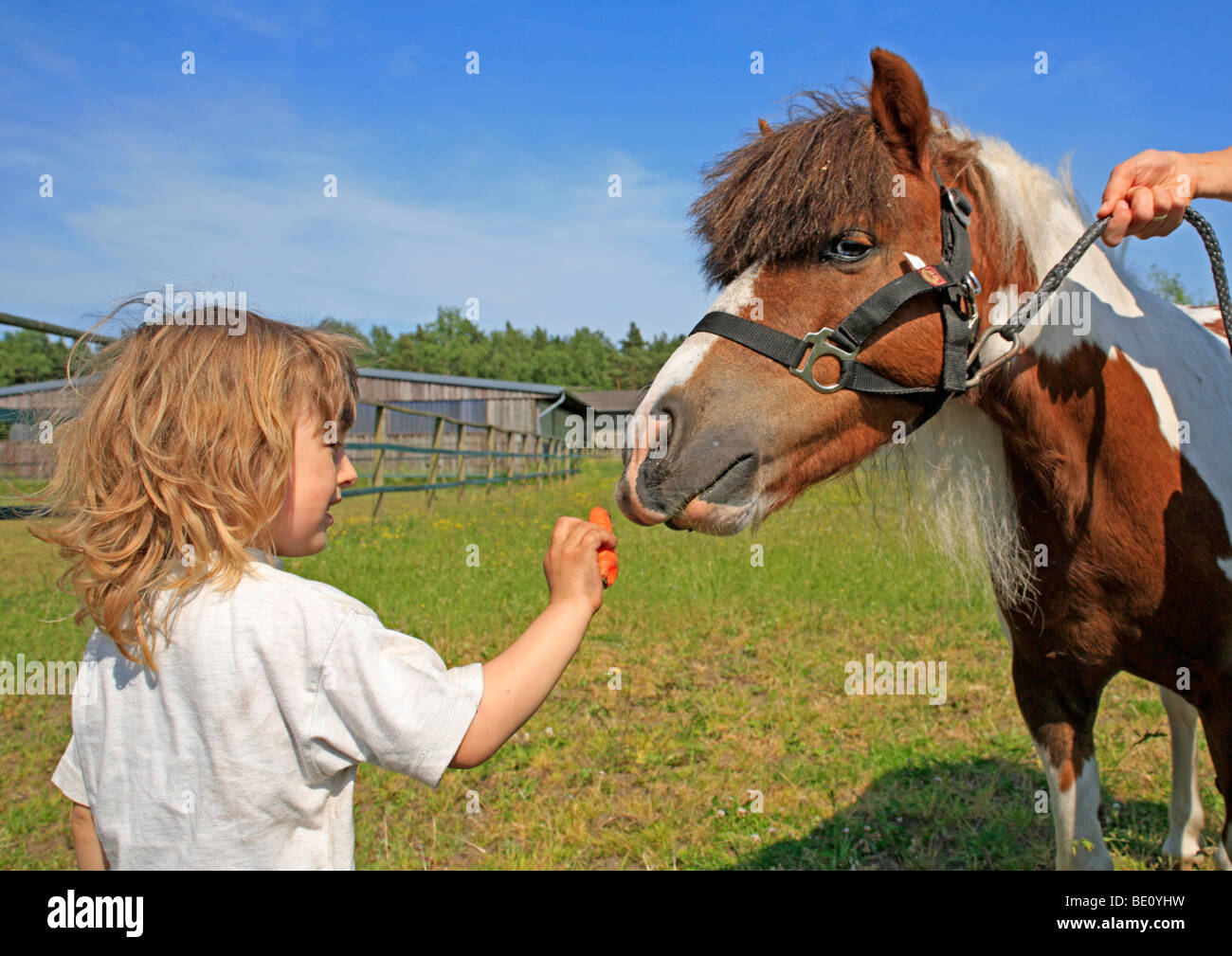 young child with pony Stock Photo - Alamy