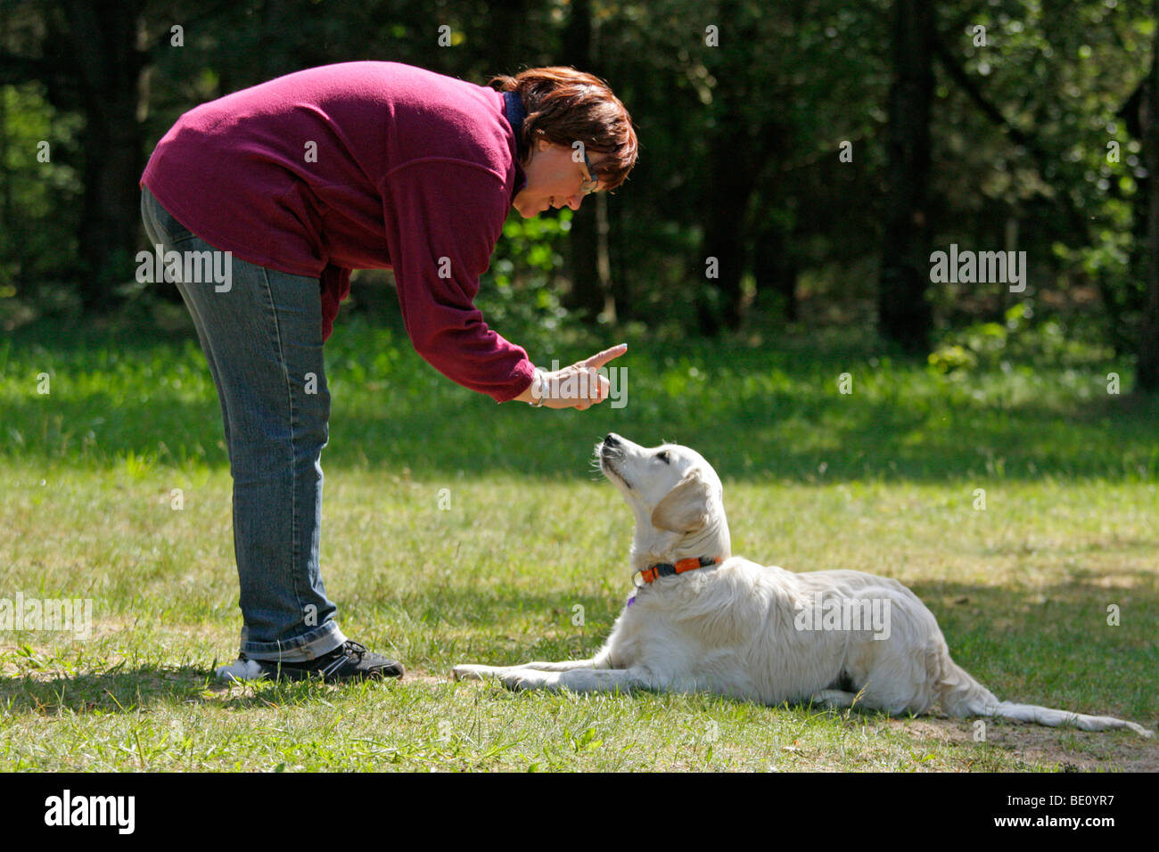 woman training her dog Stock Photo - Alamy