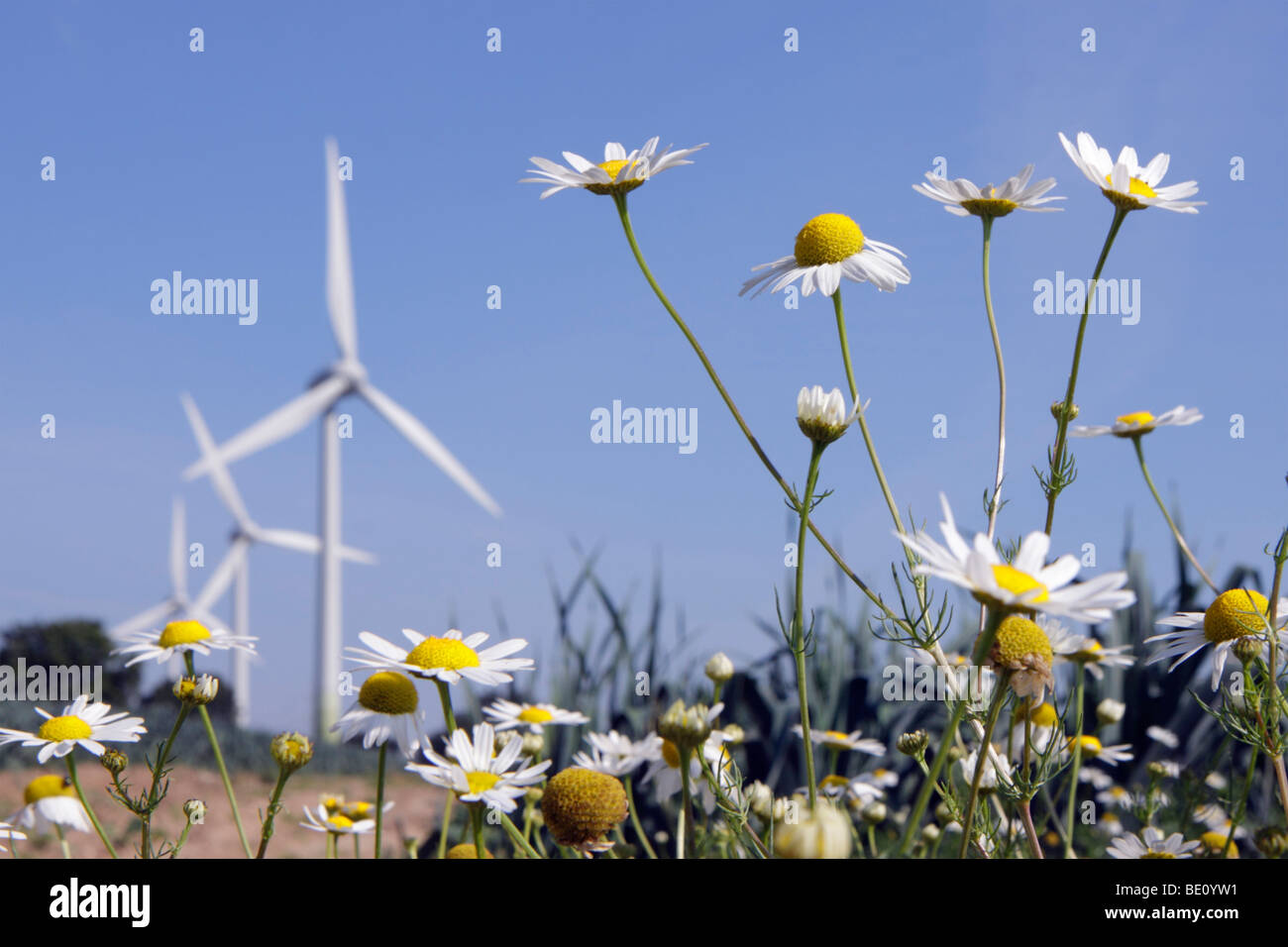 Sk82 91 hi-res stock photography and images - Alamy