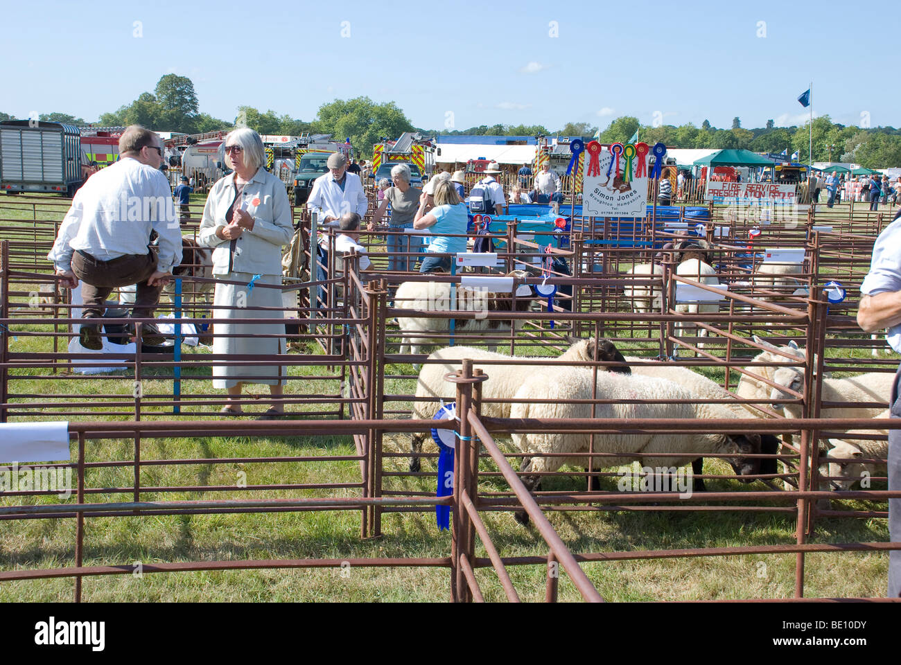 romsey show sheep pens Stock Photo - Alamy