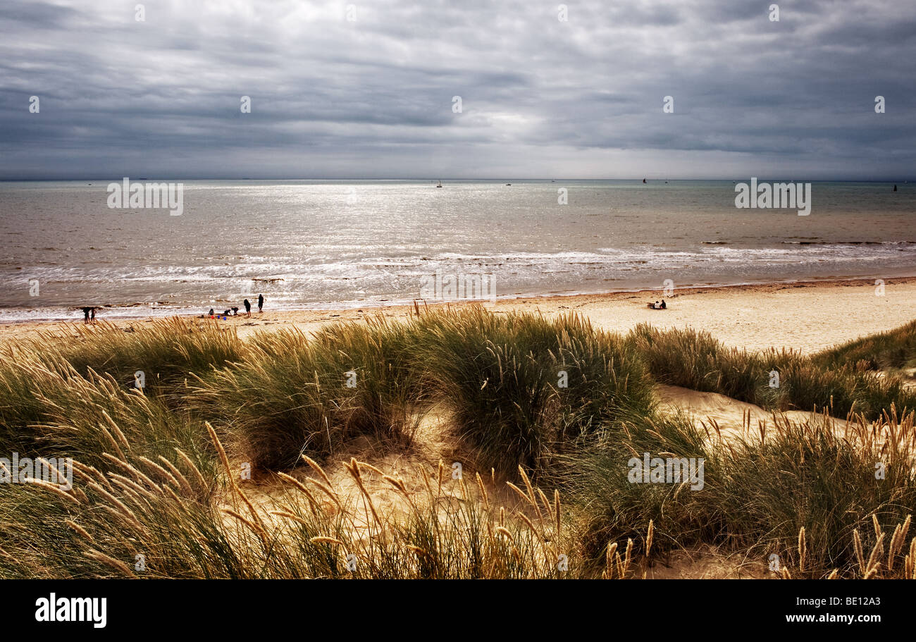 Marram grass landscape hi-res stock photography and images - Alamy