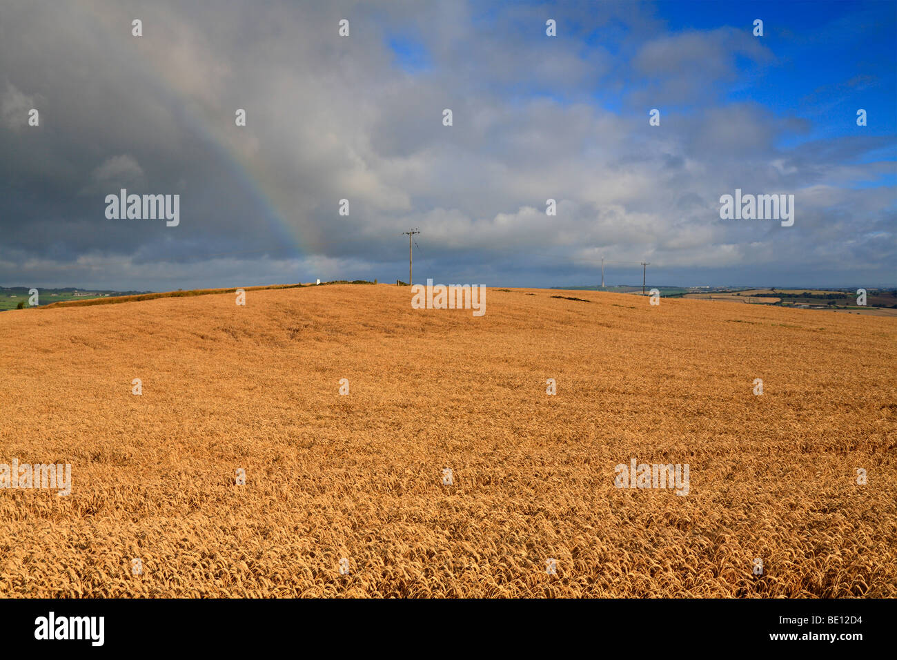 Storm clouds and rainbow over a corn field and triangulation pillar ...