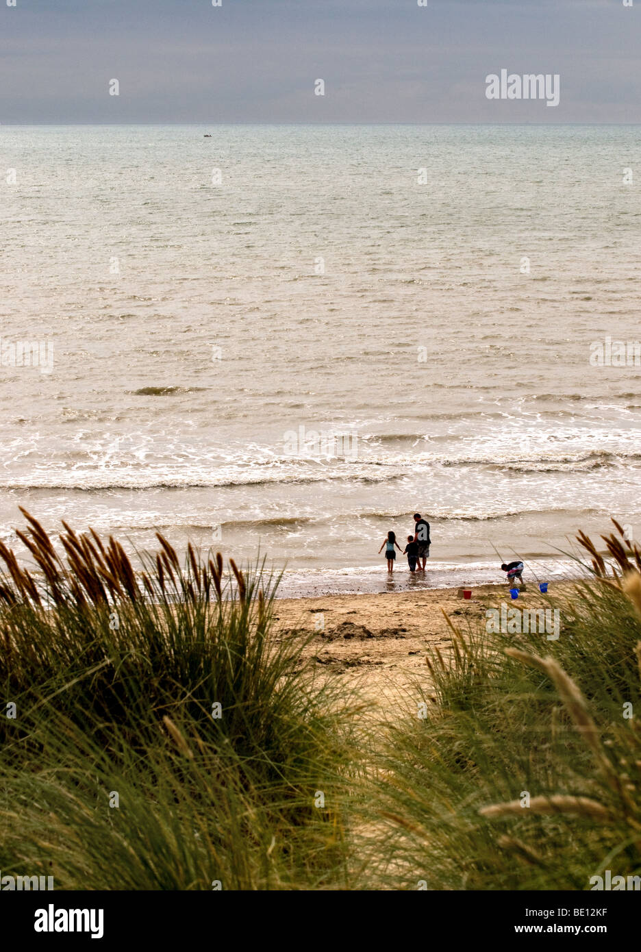 Camber Sands Beach Sea Grass High Resolution Stock Photography and ...