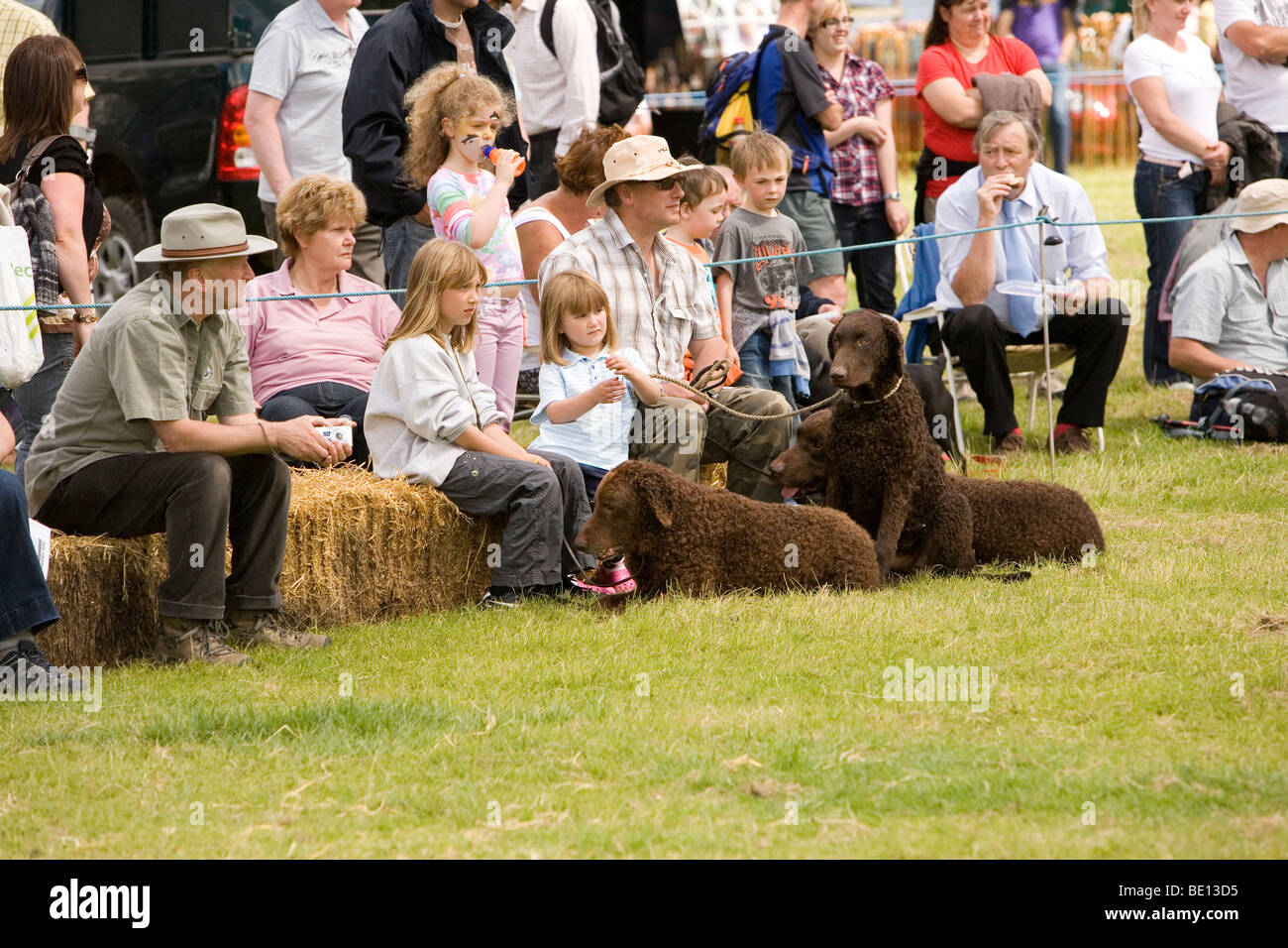 Country fair animal children hi-res stock photography and images - Alamy