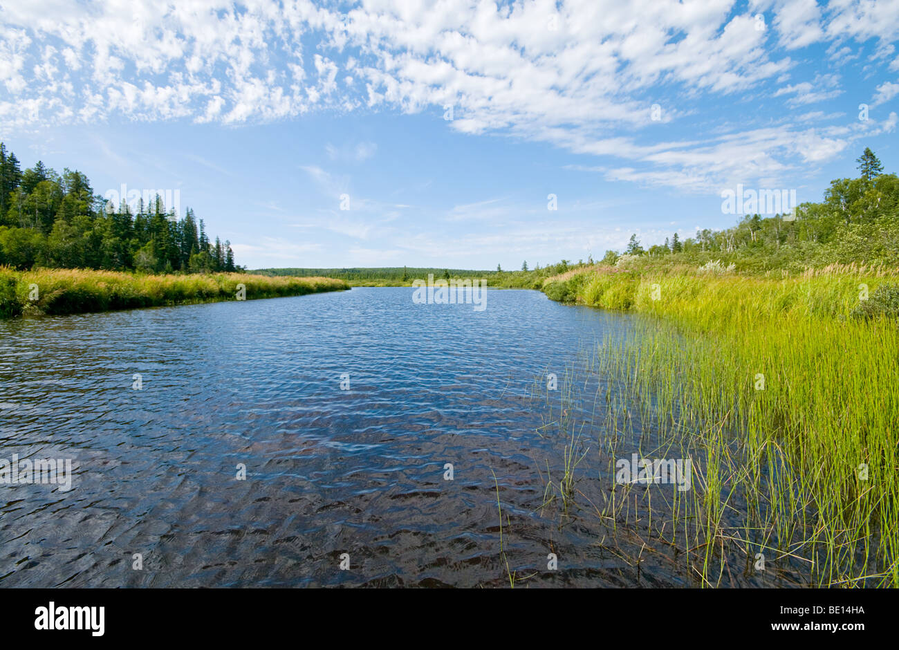Poplar river hi-res stock photography and images - Alamy