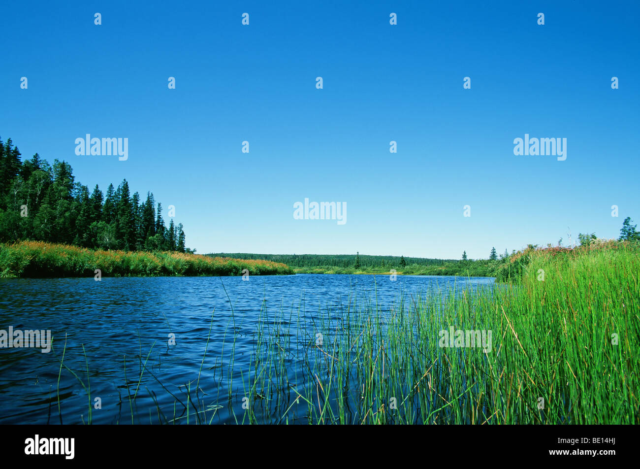 Poplar River in Boundary Waters, Minnesota Stock Photo - Alamy