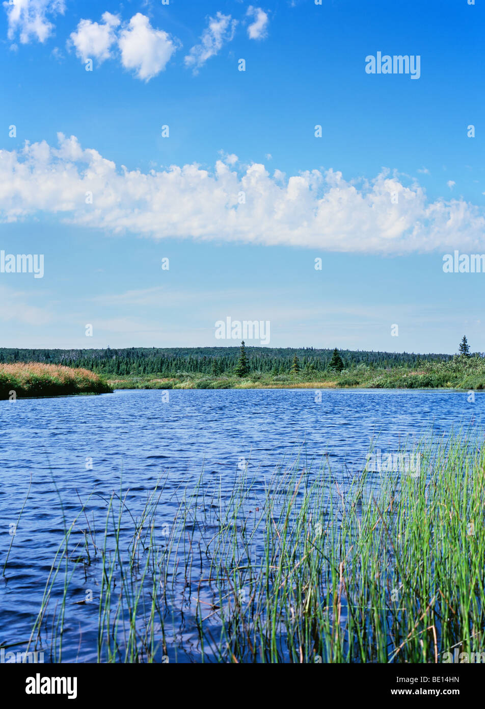 Poplar River in Boundary Waters, Minnesota Stock Photo - Alamy