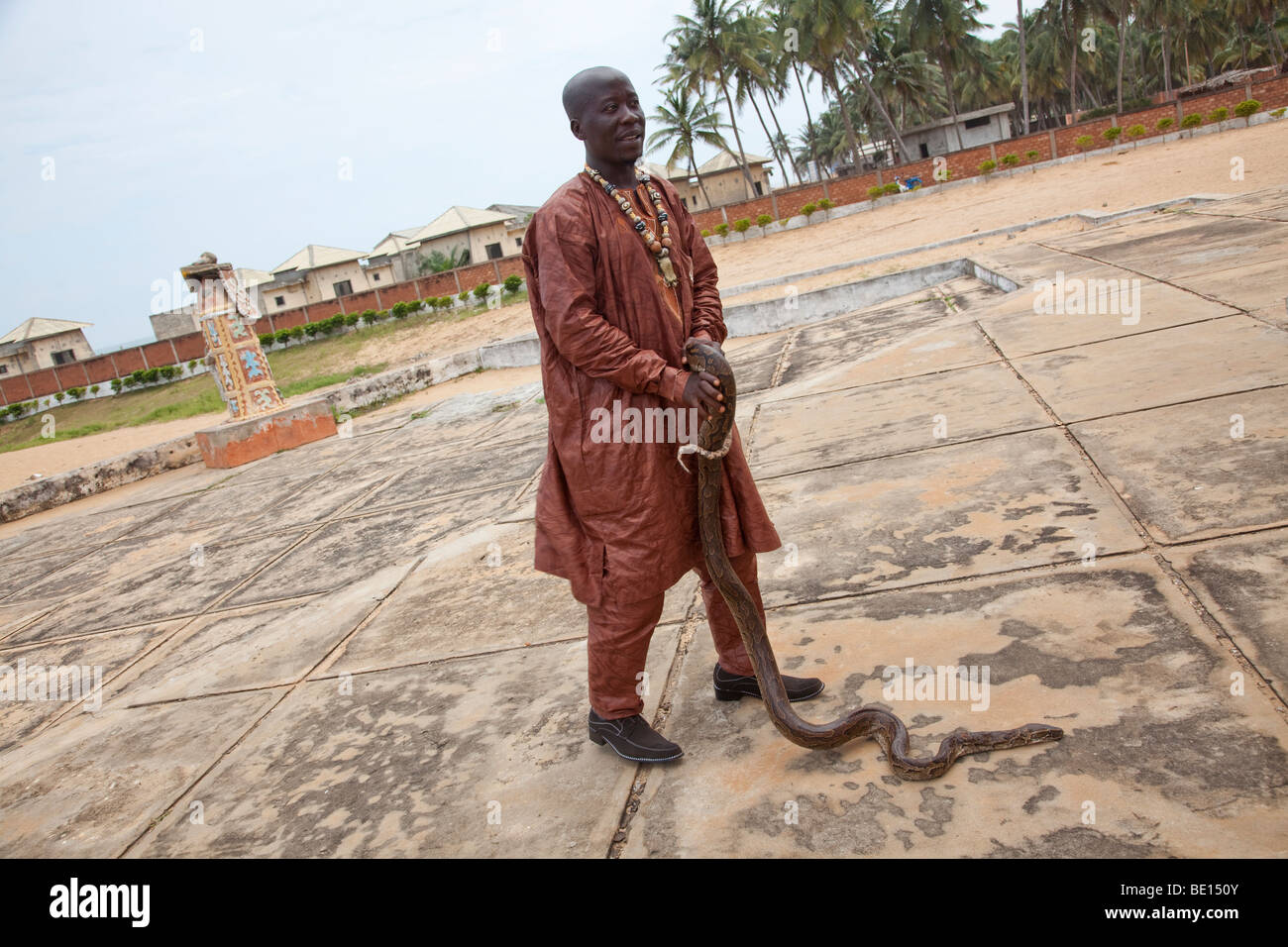 A man carries a royal python in Ouidah, Benin. In this historic town ...