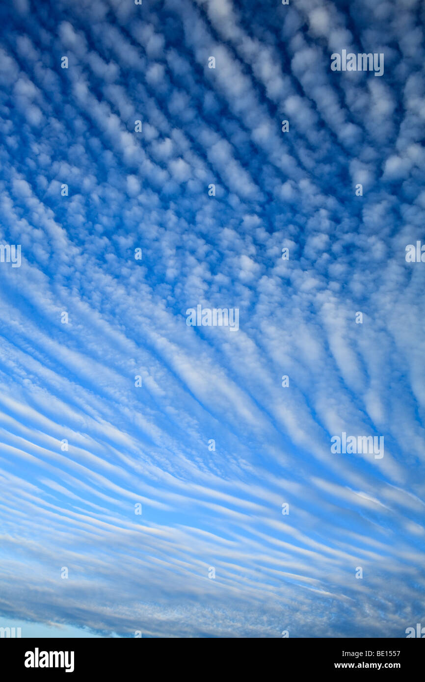 Cirrocumulus clouds altocumulus hi-res stock photography and images - Alamy