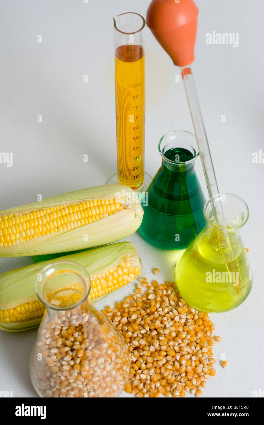 Bio fuel concept with corn and chemicals Stock Photo - Alamy