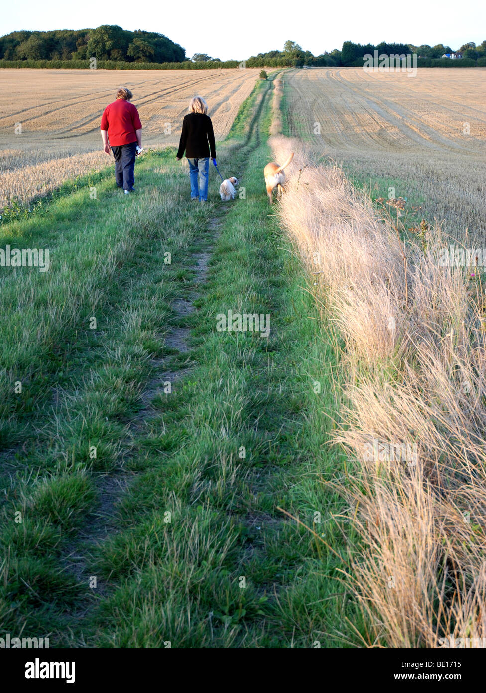 Two people walking their dogs along a country path Stock Photo - Alamy