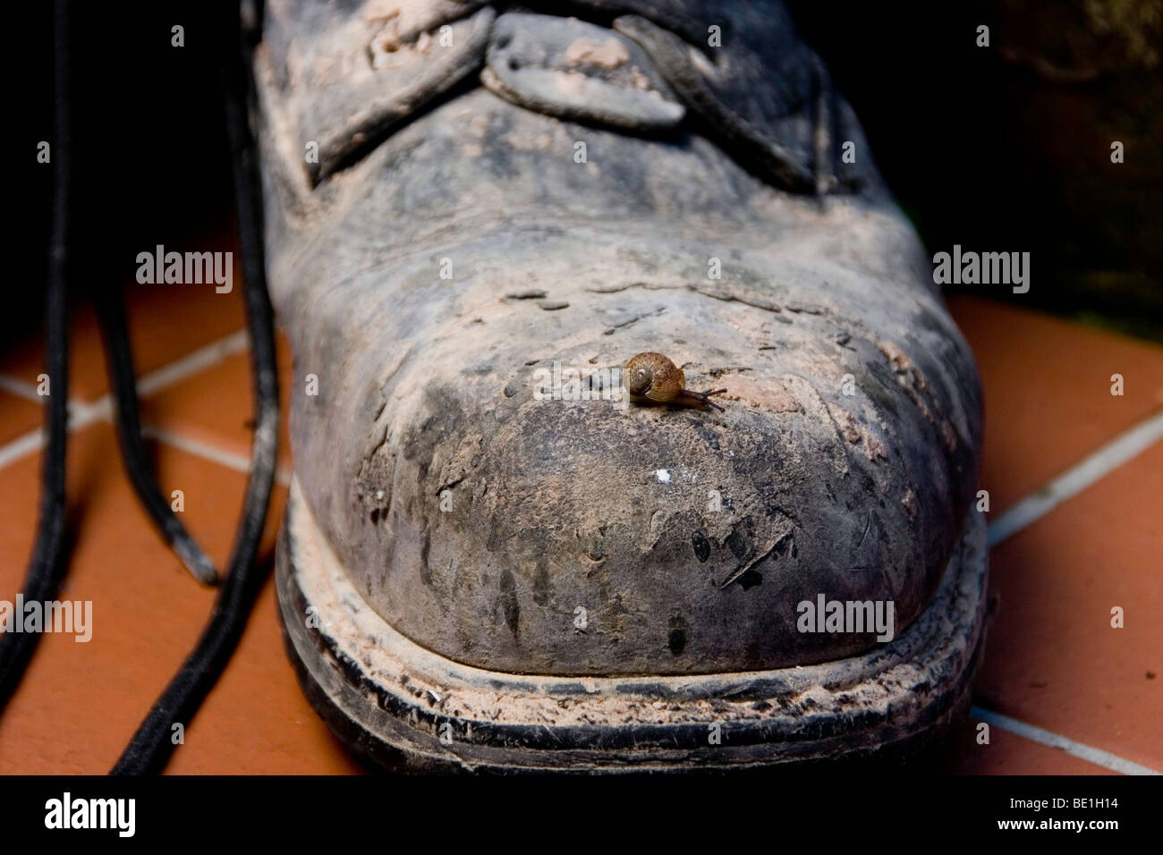 Scruffy boots hi-res stock photography and images - Alamy