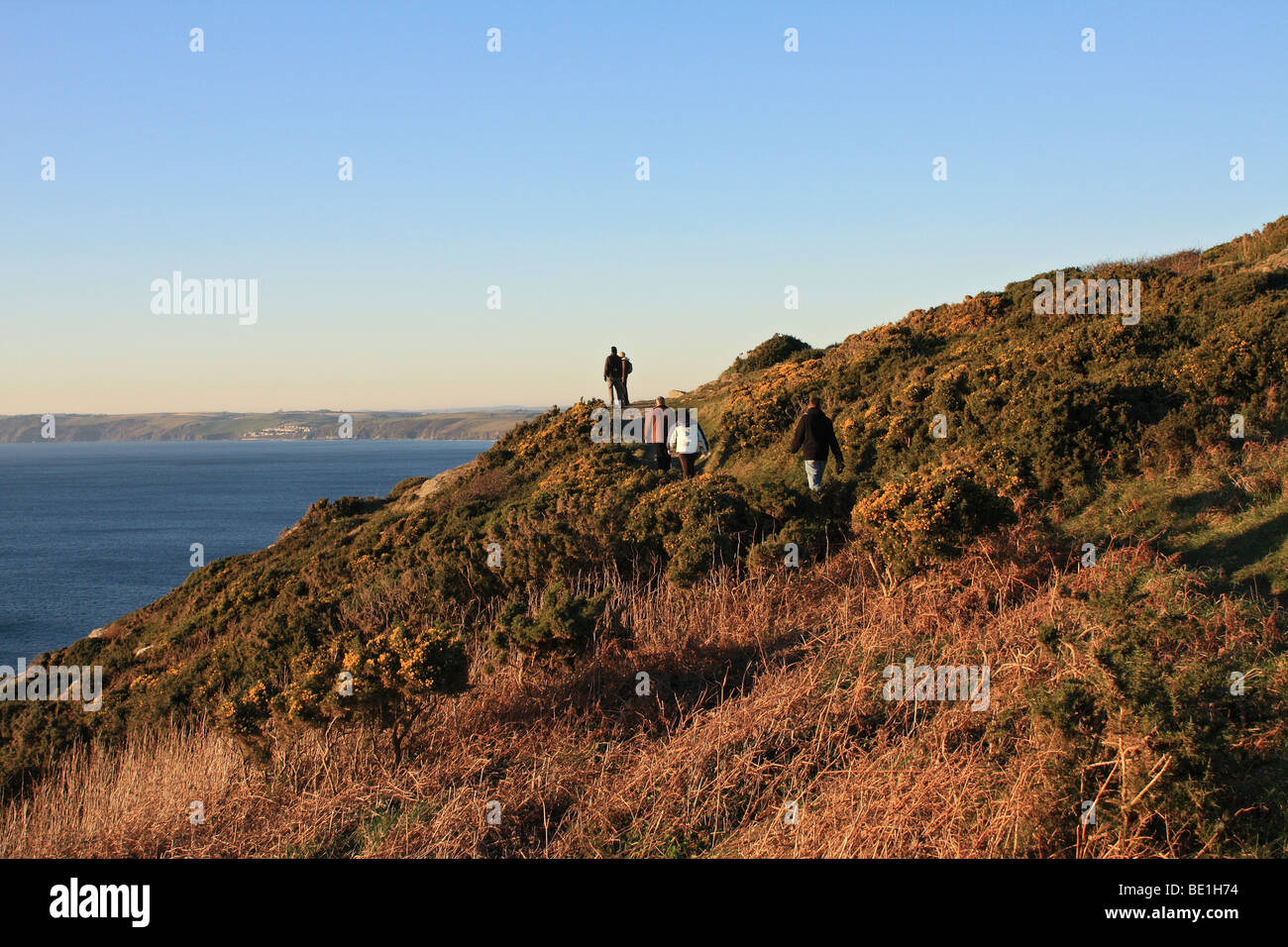Rame head cornwall hi-res stock photography and images - Alamy