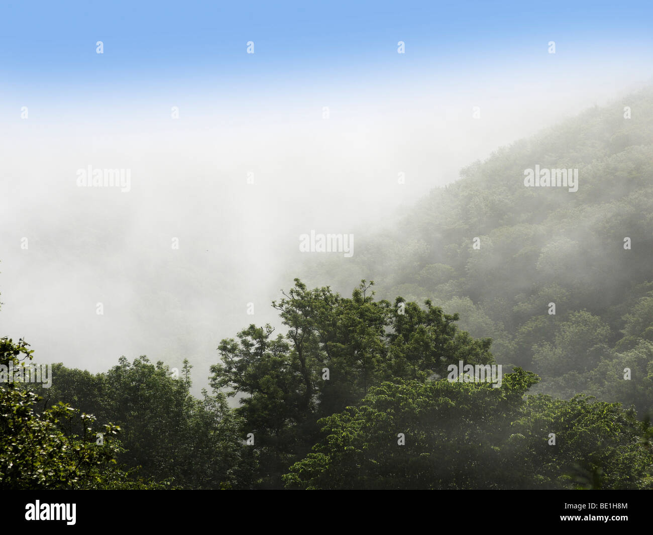 the coast of the valley of the rocks lynton devon with sea fog against ...