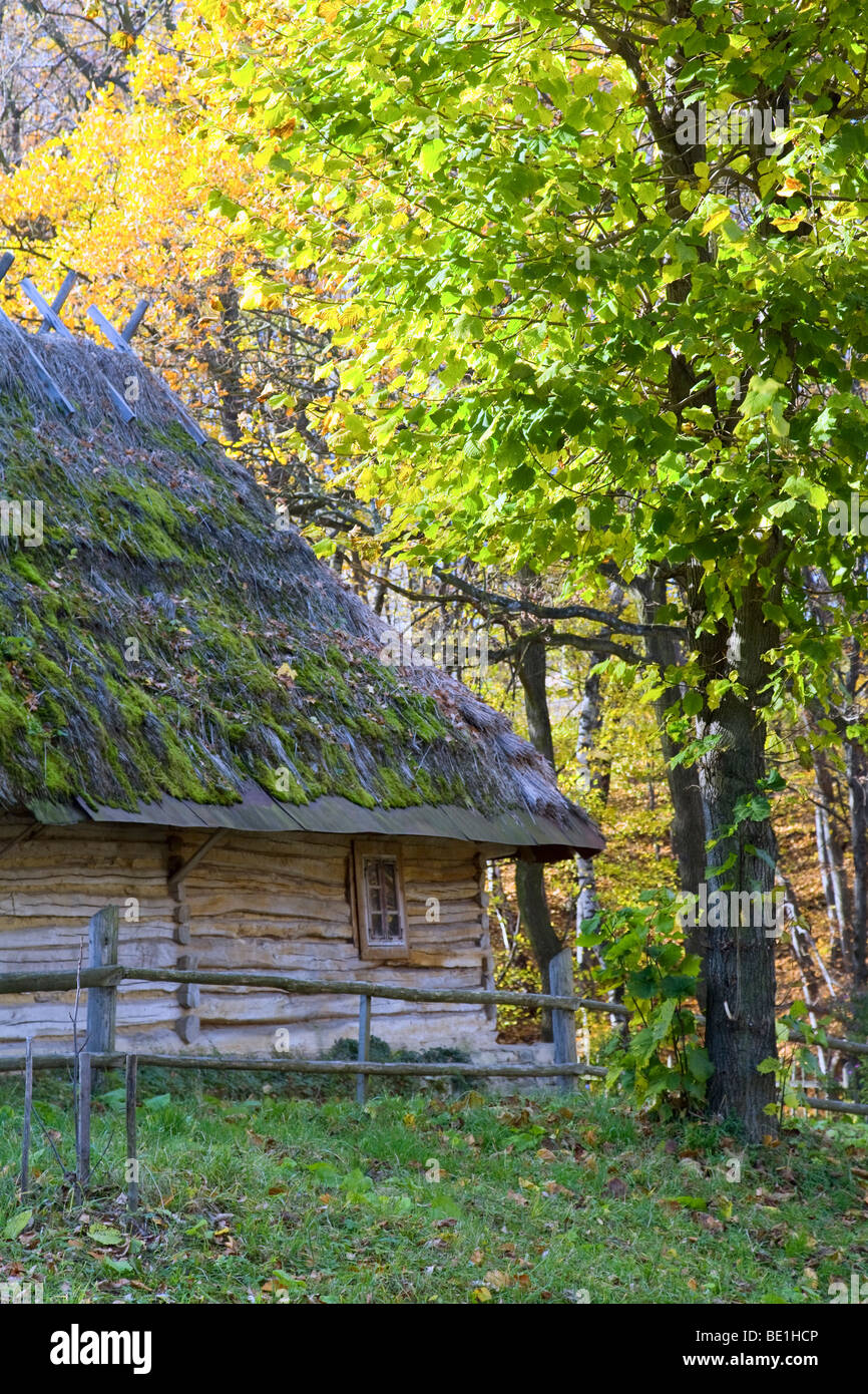 Ukrainian historical country wooden hut with thatched moss overgrown ...