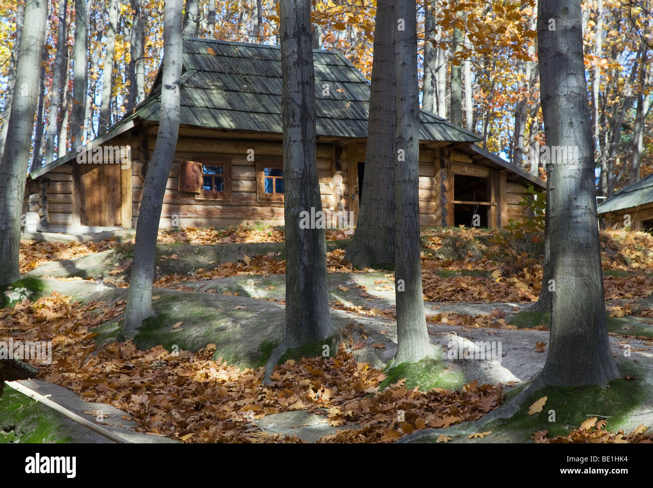 Ukrainian historical country wooden farmstead in autumn forest Stock ...