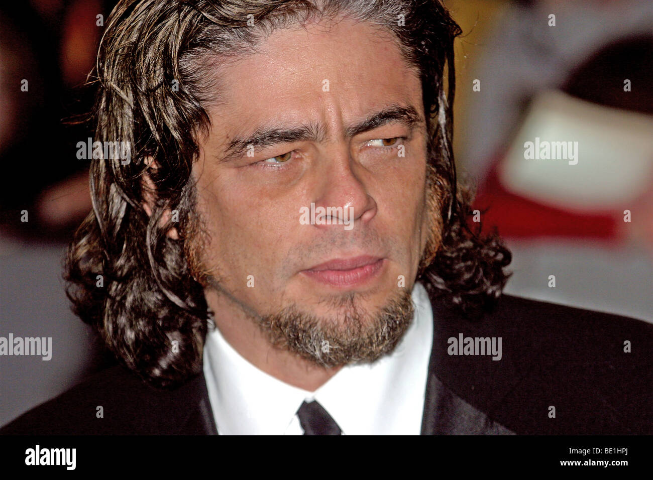 BENICIO DEL TORO - Puerto Rican actor and film producer in 2008 Stock ...