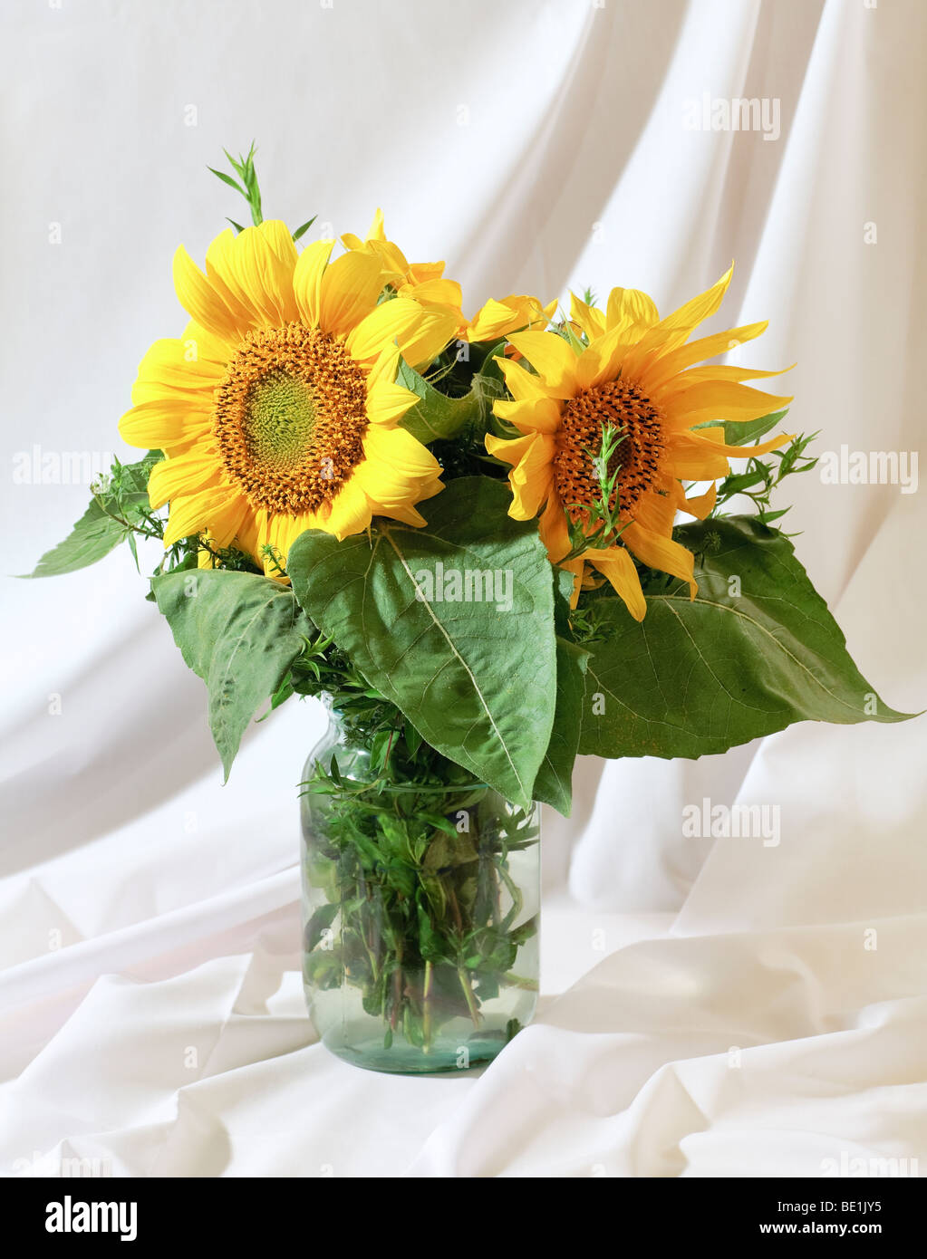 Nice sunflower summer bouquet on white cloth background Stock Photo - Alamy