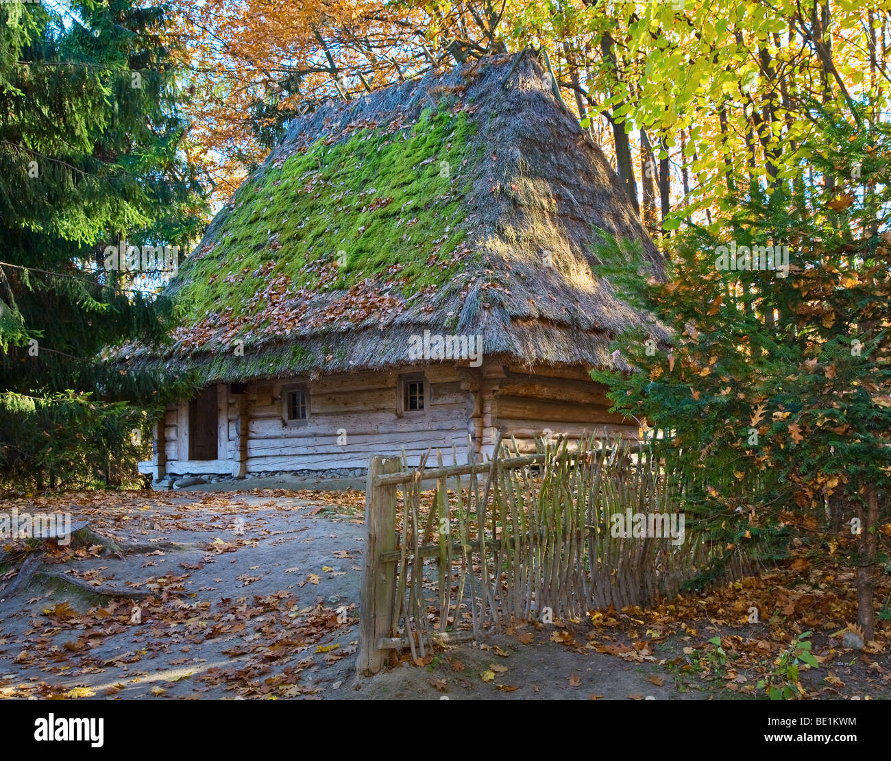 Ukrainian historical country wooden hut with thatched moss overgrown ...