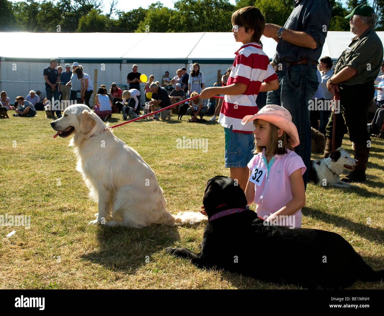 The Henley Show ,dog class event Stock Photo - Alamy
