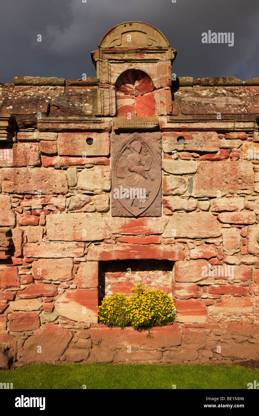 Angus garden hi-res stock photography and images - Alamy