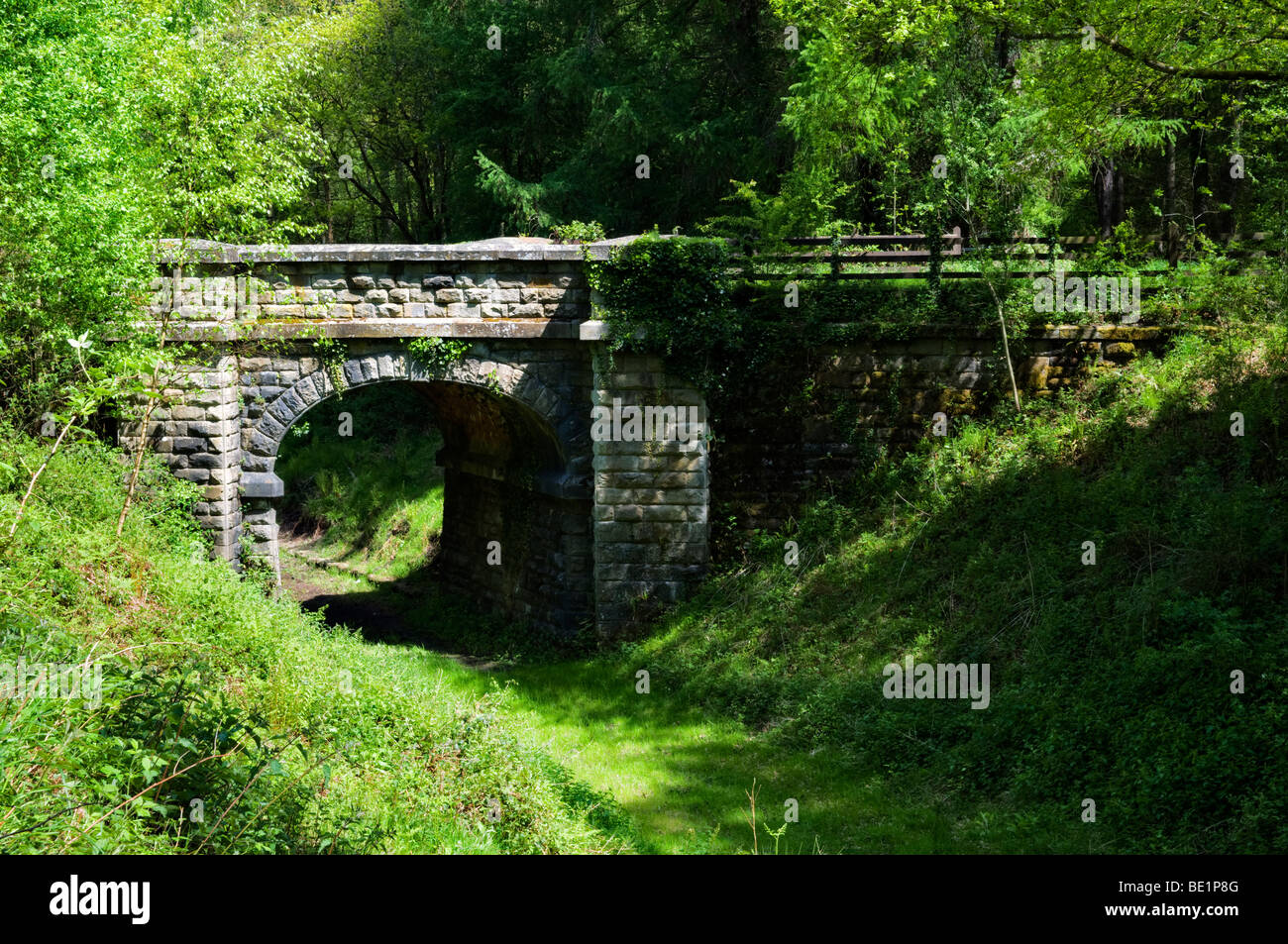 Dean forest railway hi-res stock photography and images - Alamy