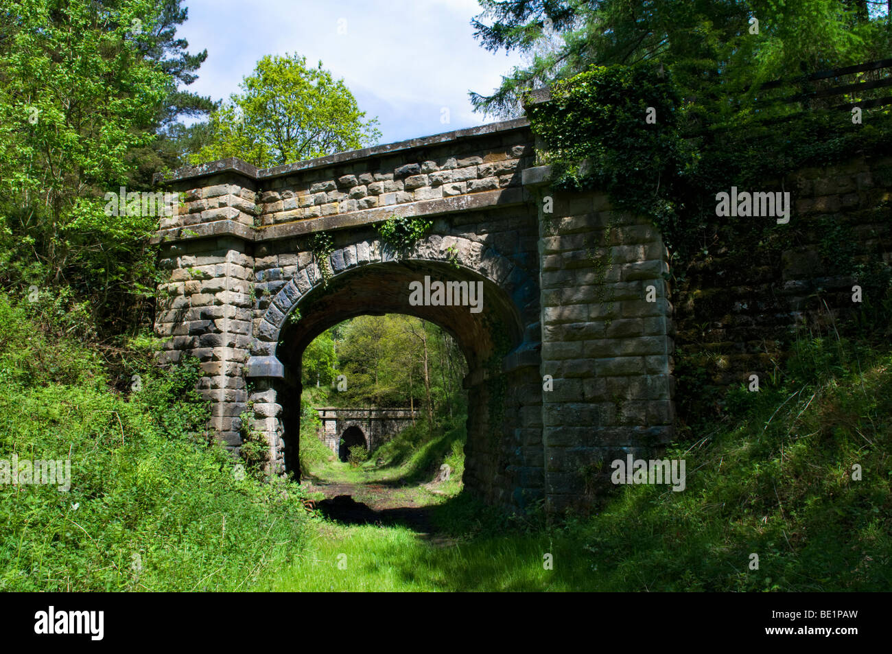 Mirystock Bridge, Forest of Dean, Gloucestershire in Spring with lush ...