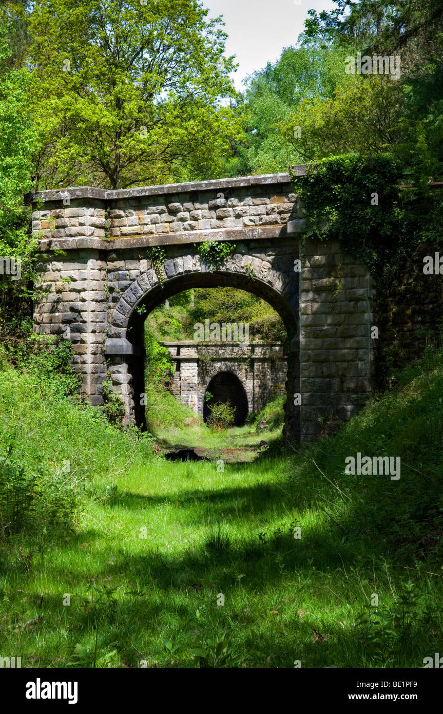 Mirystock Bridge, Forest of Dean, Gloucestershire in Spring with lush ...