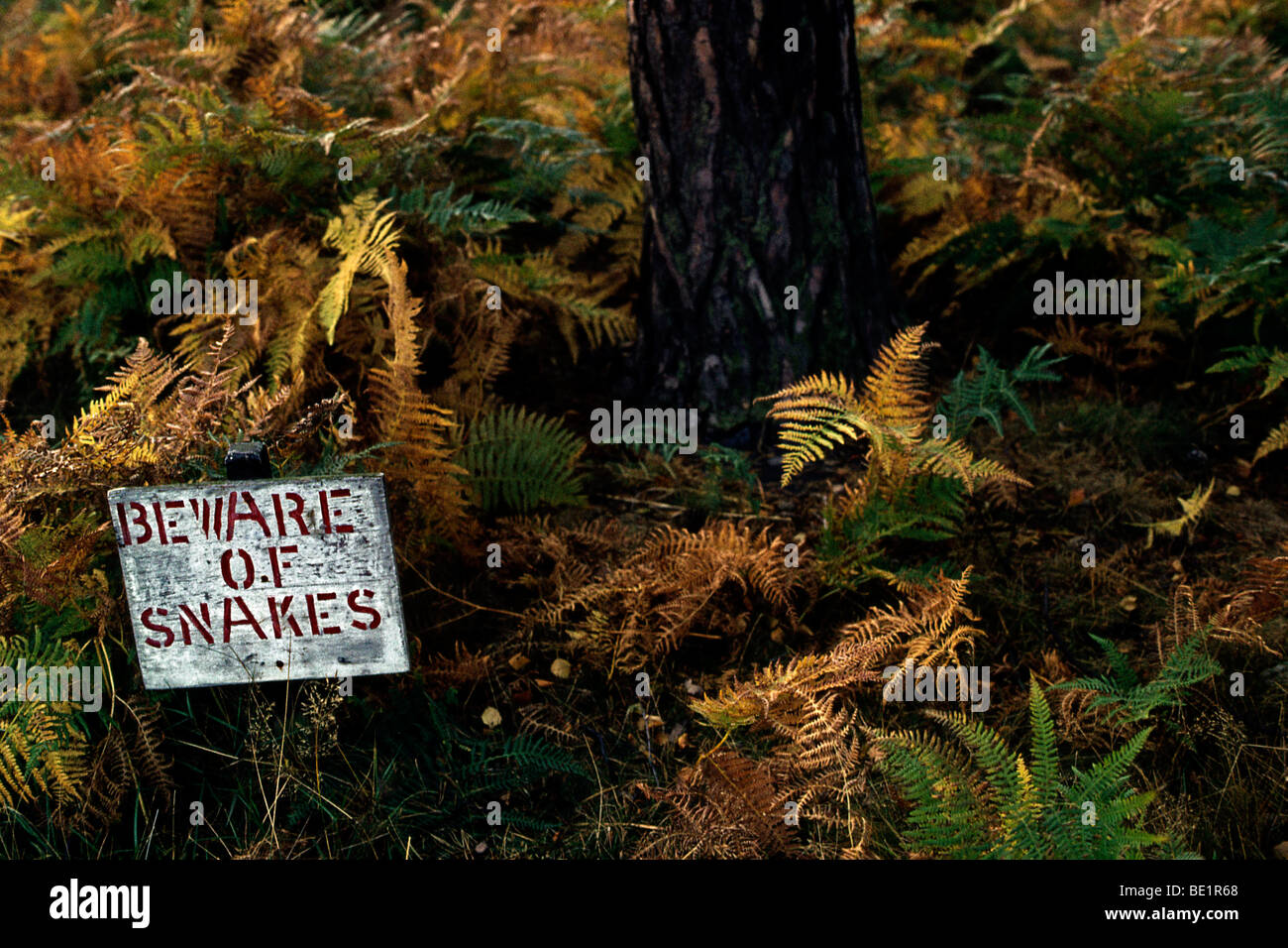 Adder warning sign hi-res stock photography and images - Alamy