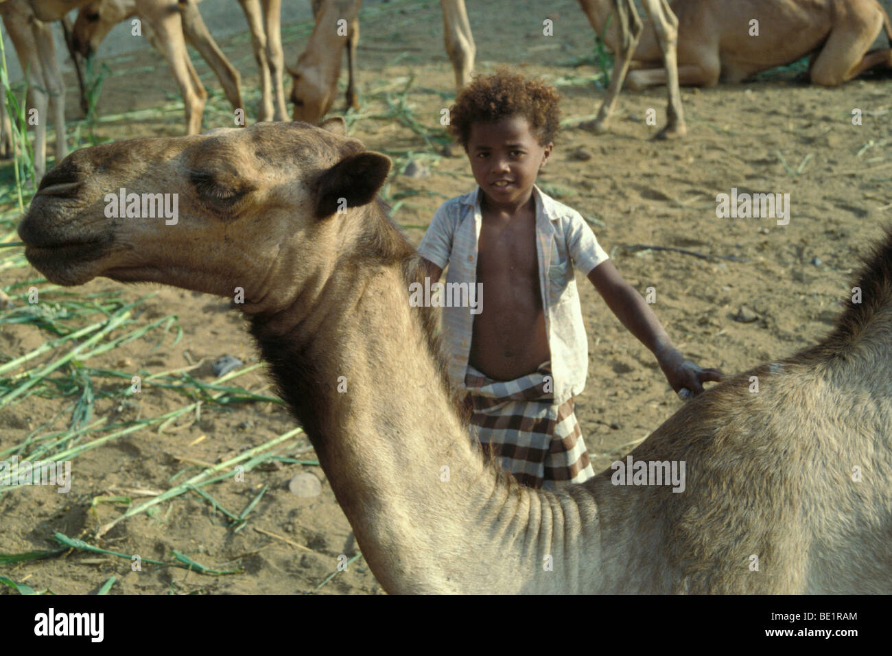 Hadramaut desert hi-res stock photography and images - Alamy