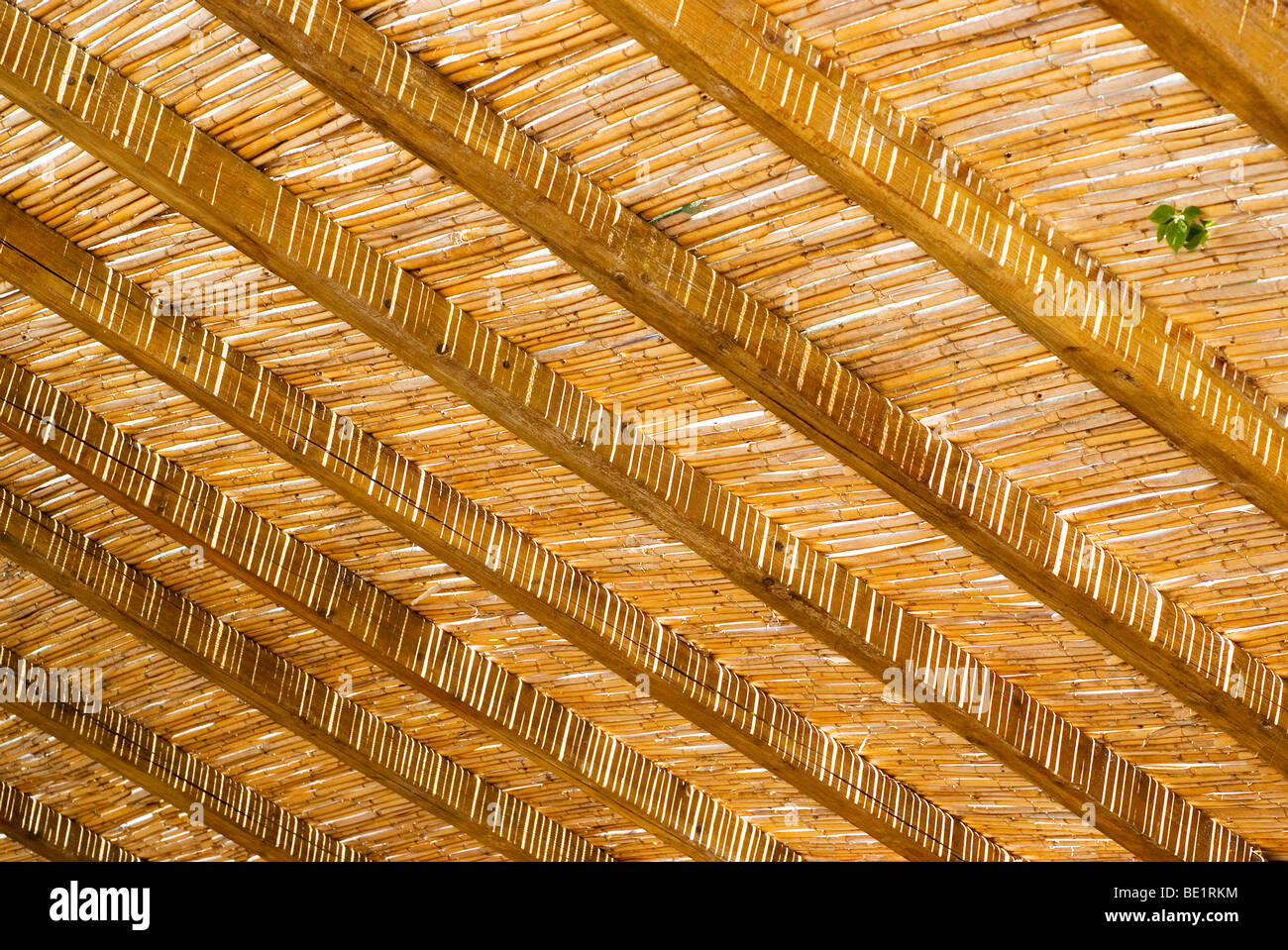 Woven pattern reed hi-res stock photography and images - Alamy