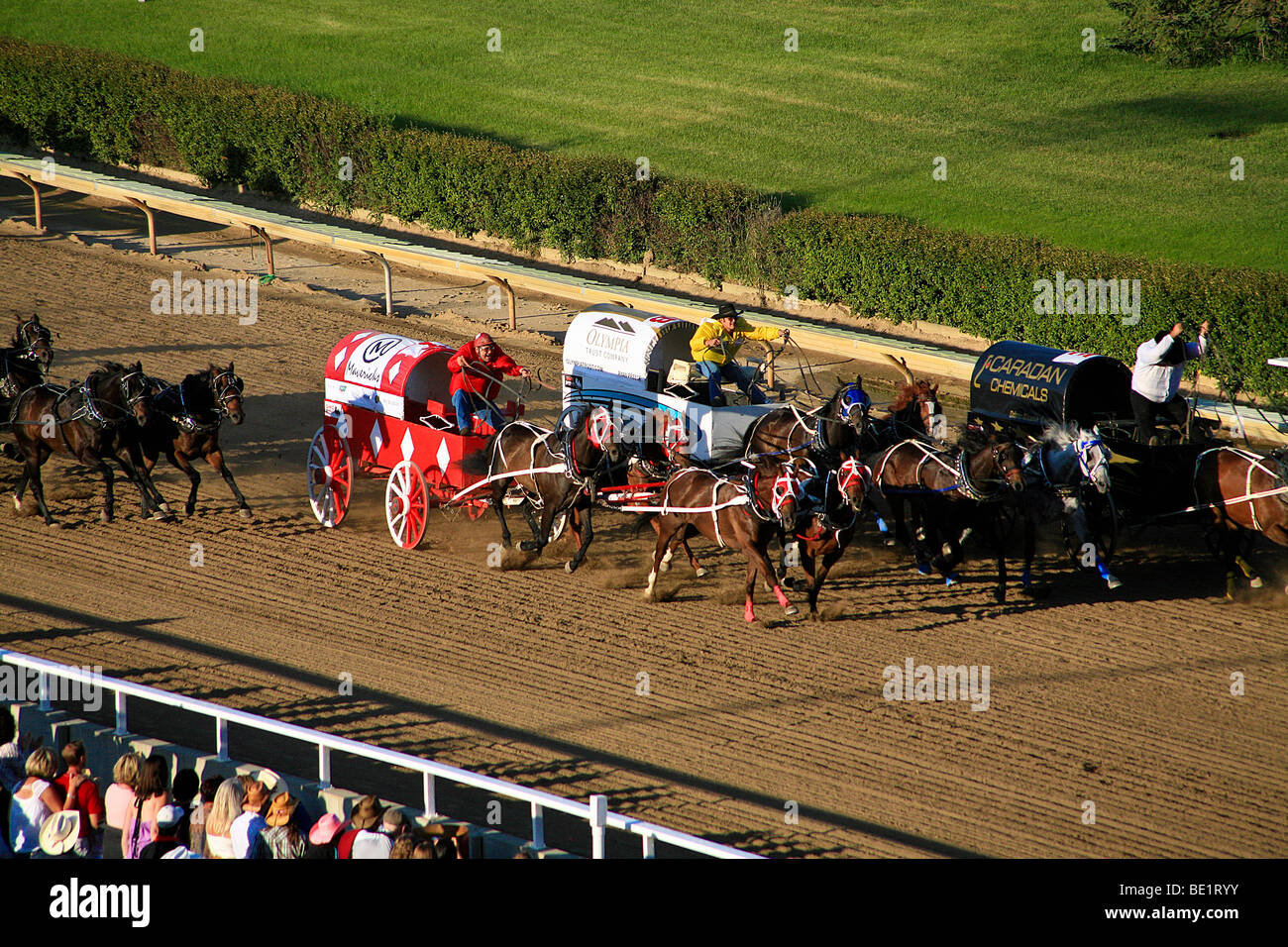 Calgary stampede chuckwagon hi-res stock photography and images - Alamy