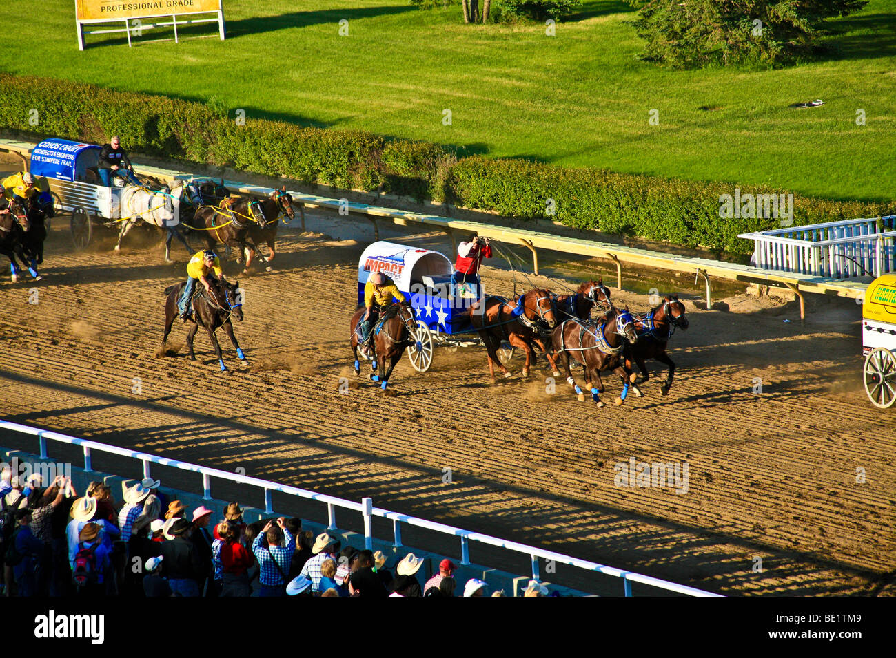Calgary stampede chuckwagon hi-res stock photography and images - Alamy