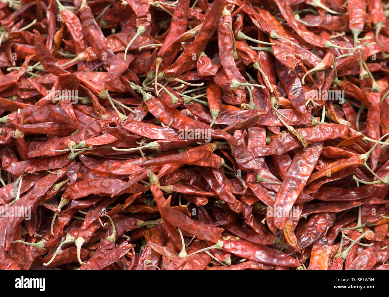 dried red Indian peppers Stock Photo - Alamy