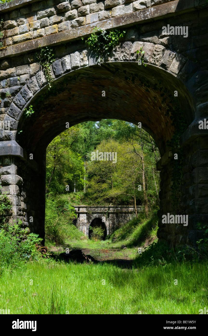 Forest of dean railway hi-res stock photography and images - Alamy
