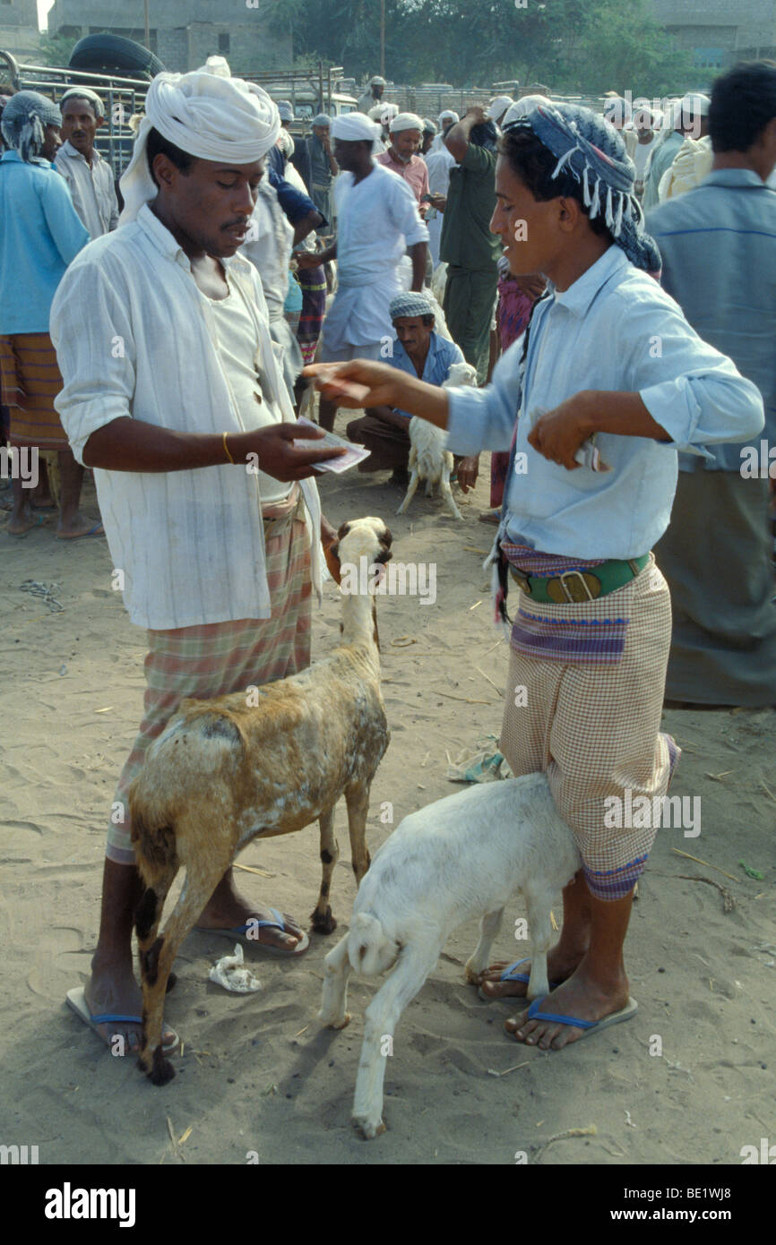 Yemen asia hi-res stock photography and images - Alamy
