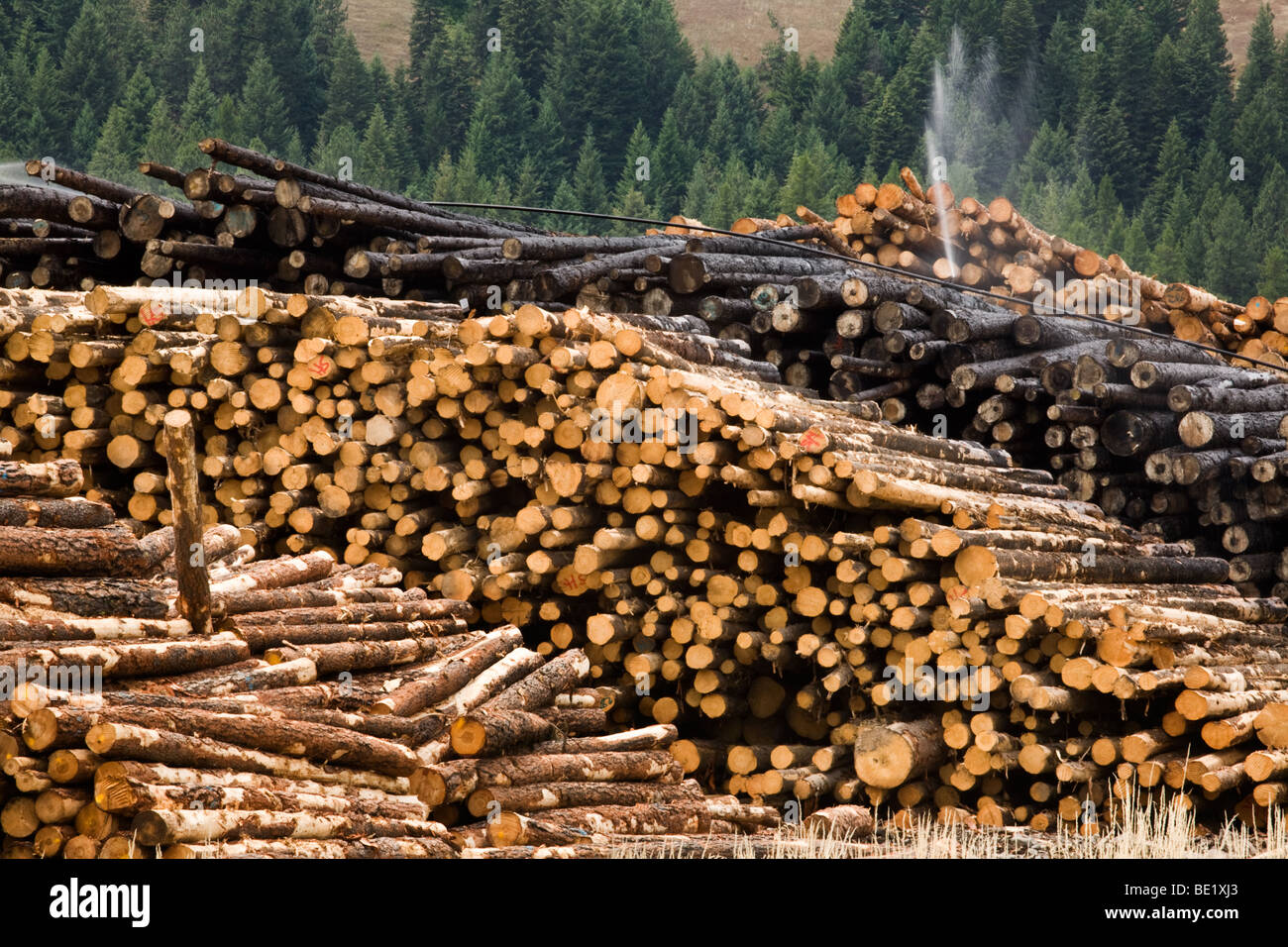 Industry and products hi-res stock photography and images - Alamy