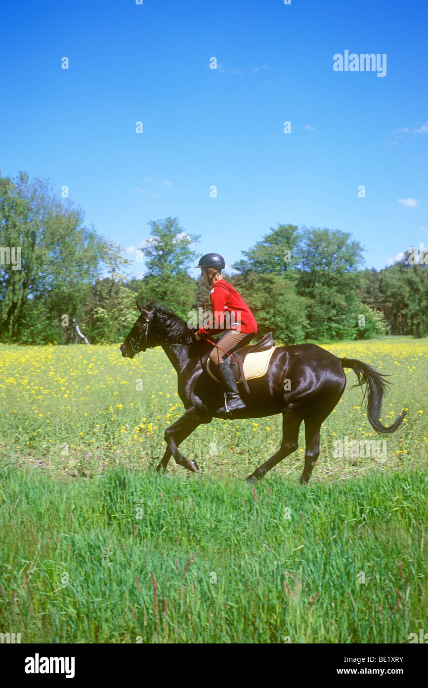 a young boy riding his horse Stock Photo - Alamy