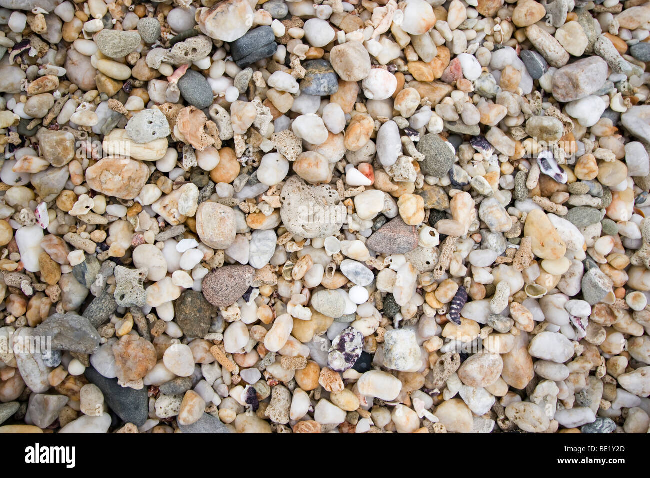 Various toned pebbles on a far north Queensland beach, Queensland ...