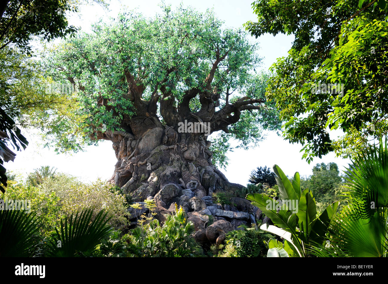 WALT DISNEY WORLD - APRIL 12: The Tree of Life at the Animal Kingdom at ...