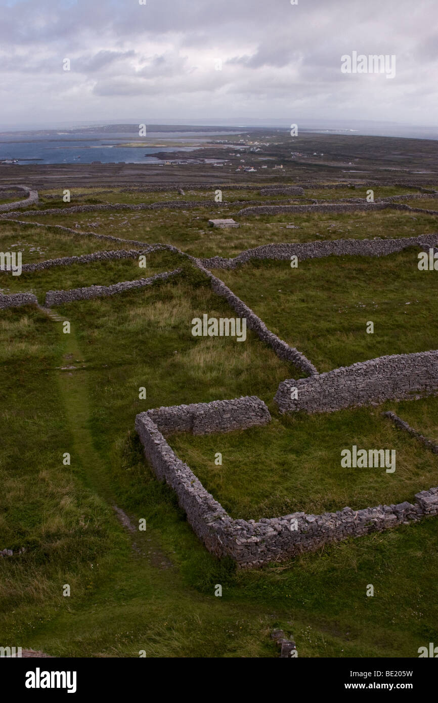 View over Fields and Stone-walls of Inis Mor Island, Aran Islands, Co ...